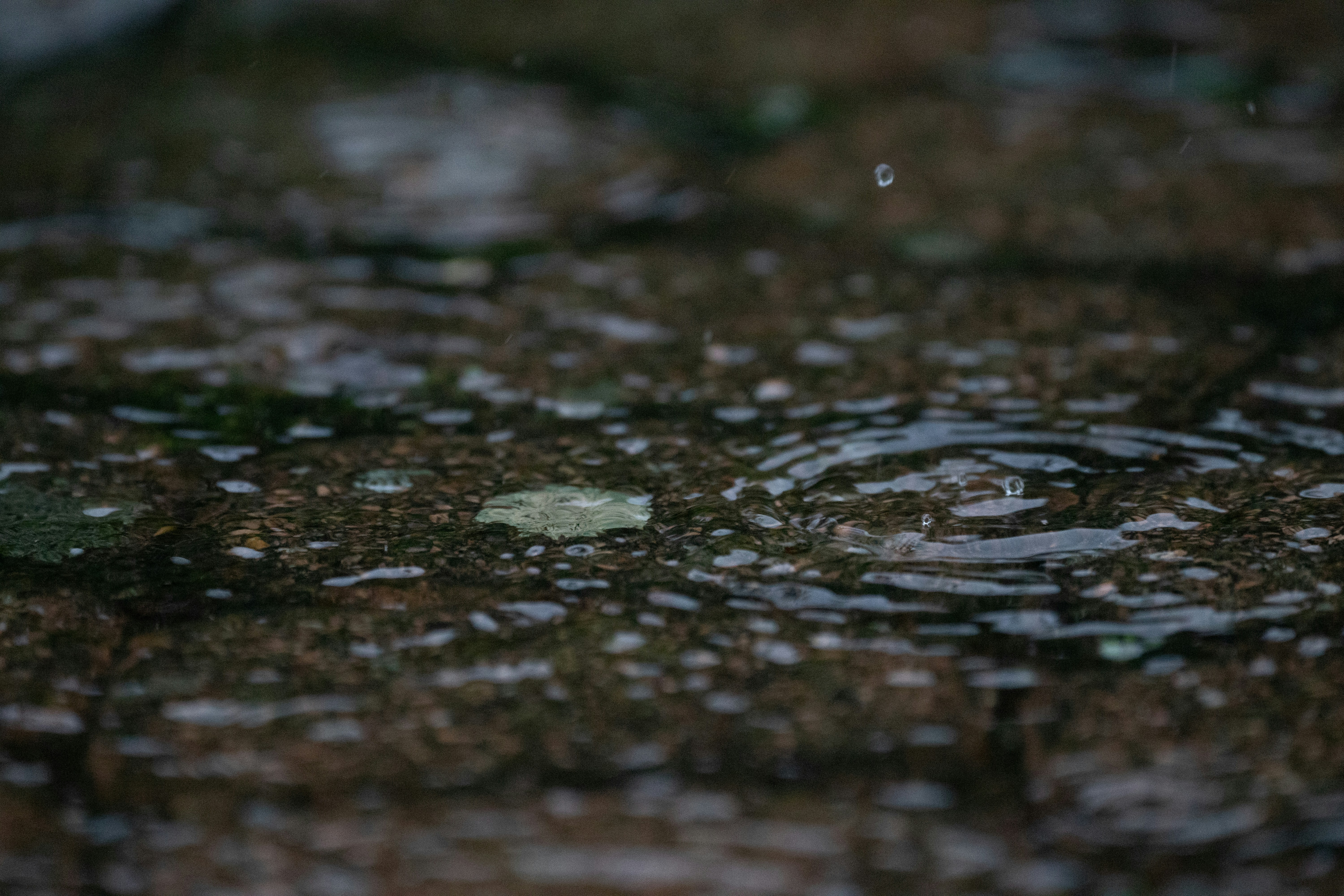 A close up of a puddle of water on the ground photo – Free Grey Image ...