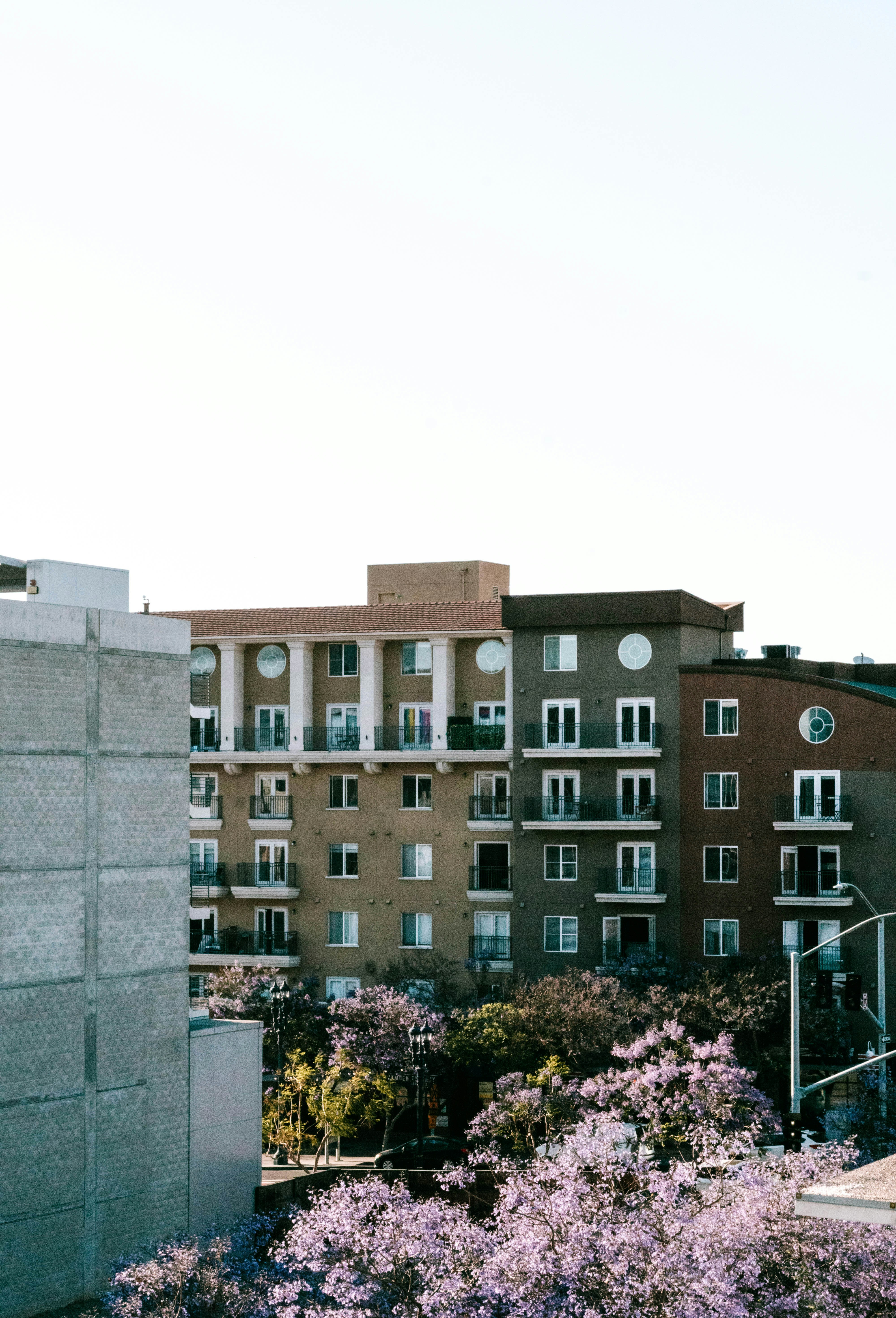 Jacaranda Frame: Central Flats Amid Sky and Bloom