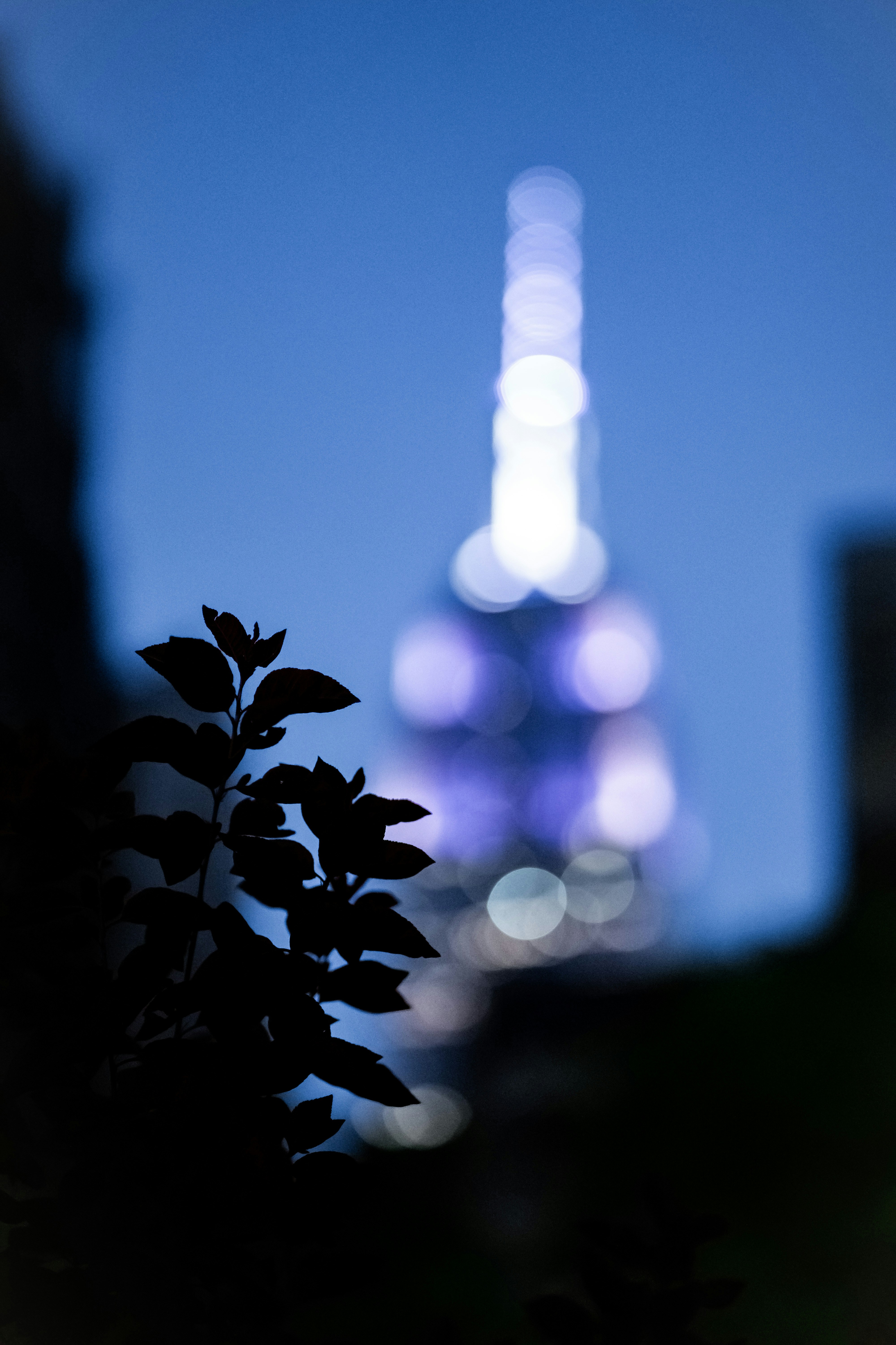 Leaf Silhouette in a Neon Nightscape