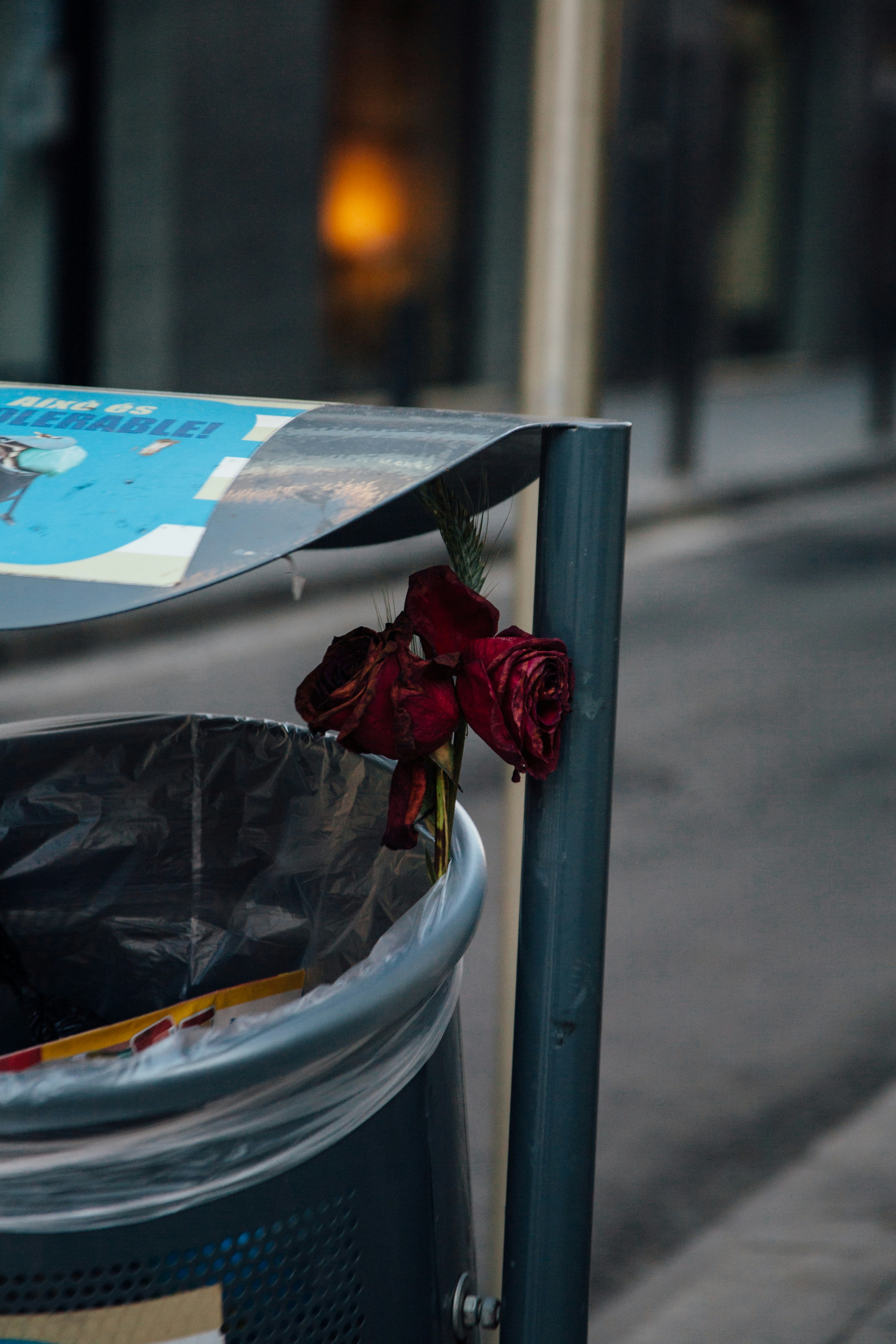 A trash can with a bunch of flowers in it photo – Free Flower Image on ...
