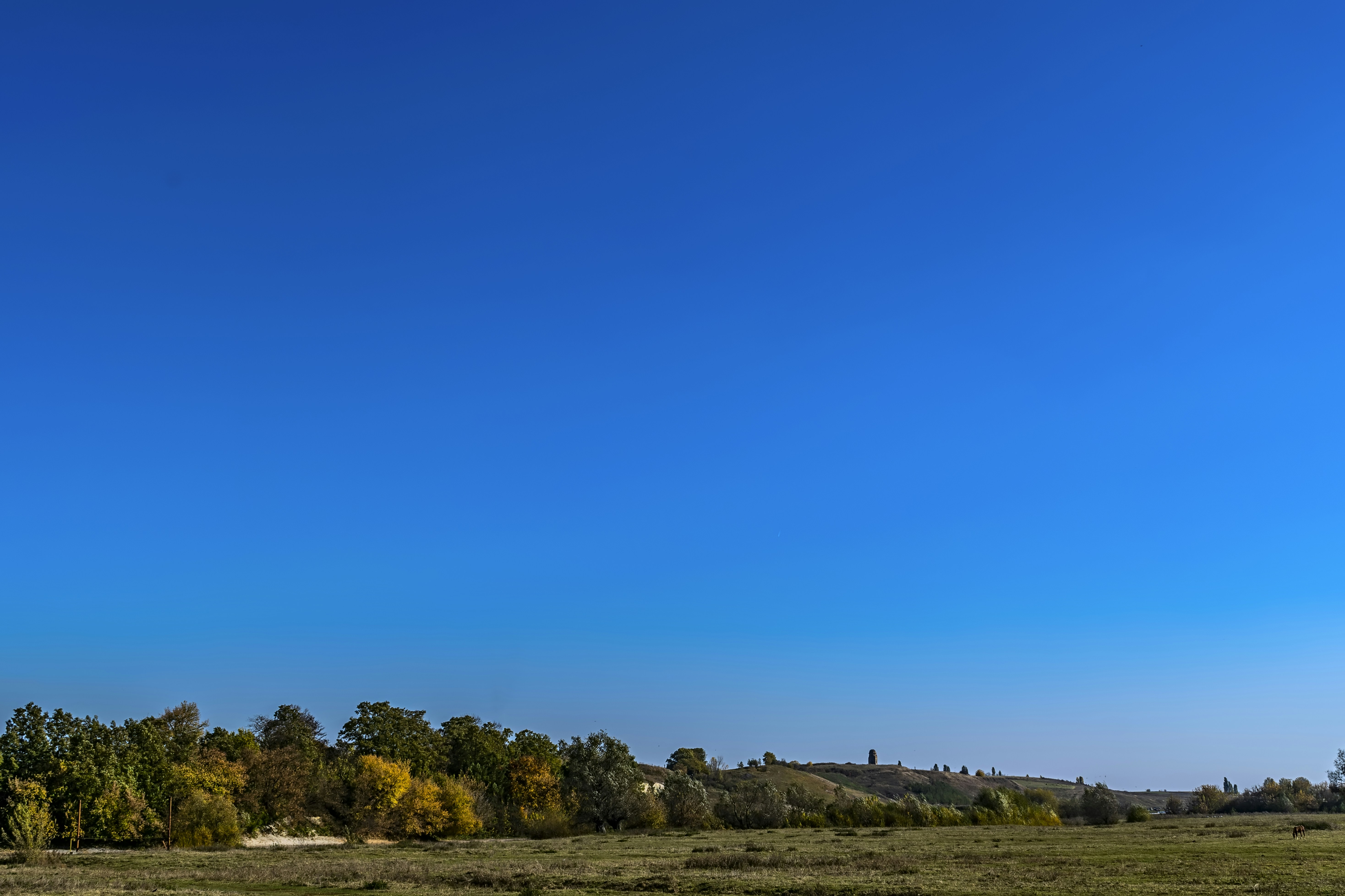 Autumn Horizon under Azure Skies