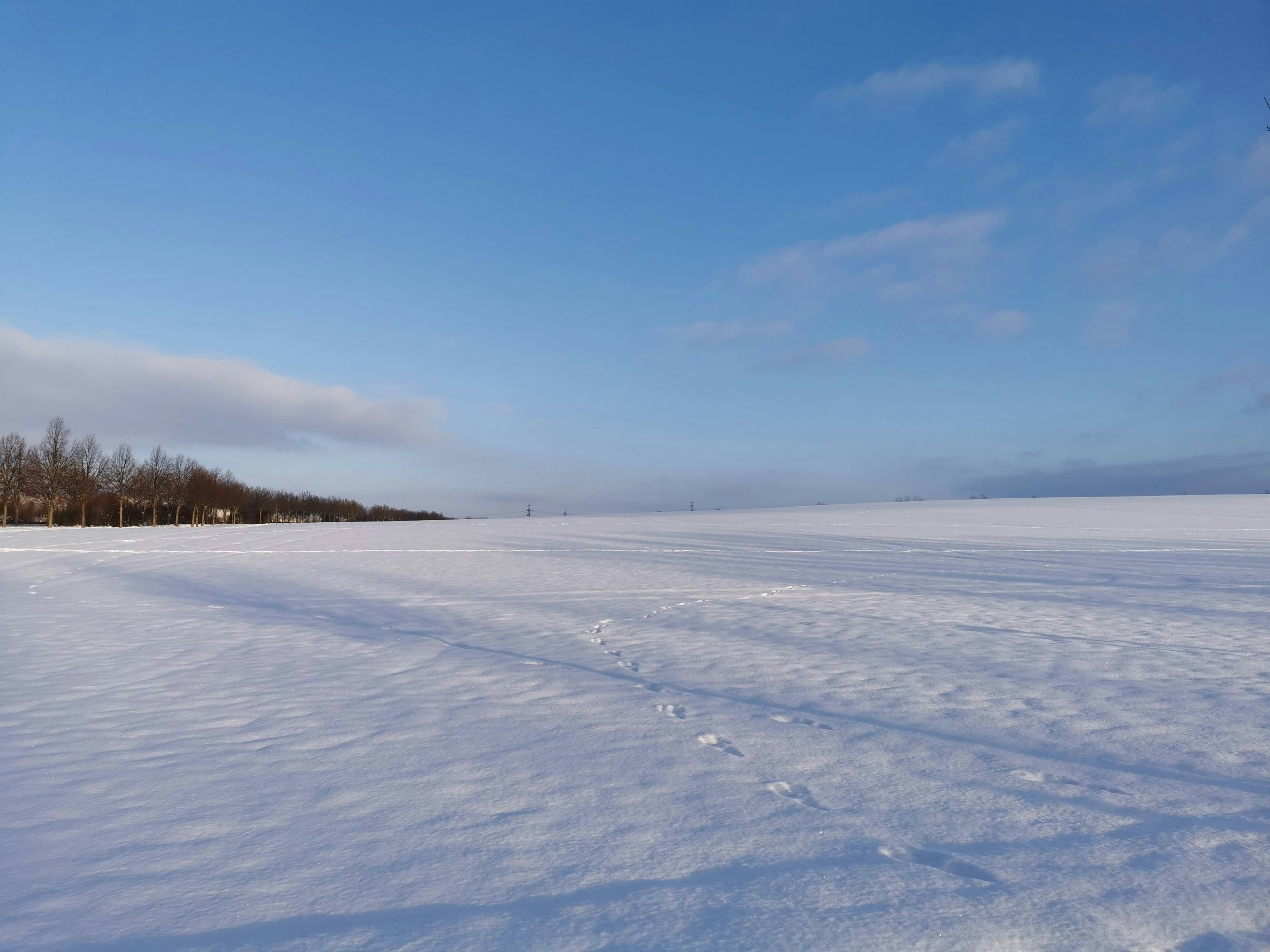Expansive snow-covered field under a bright blue sky with distant trees lining the horizon.