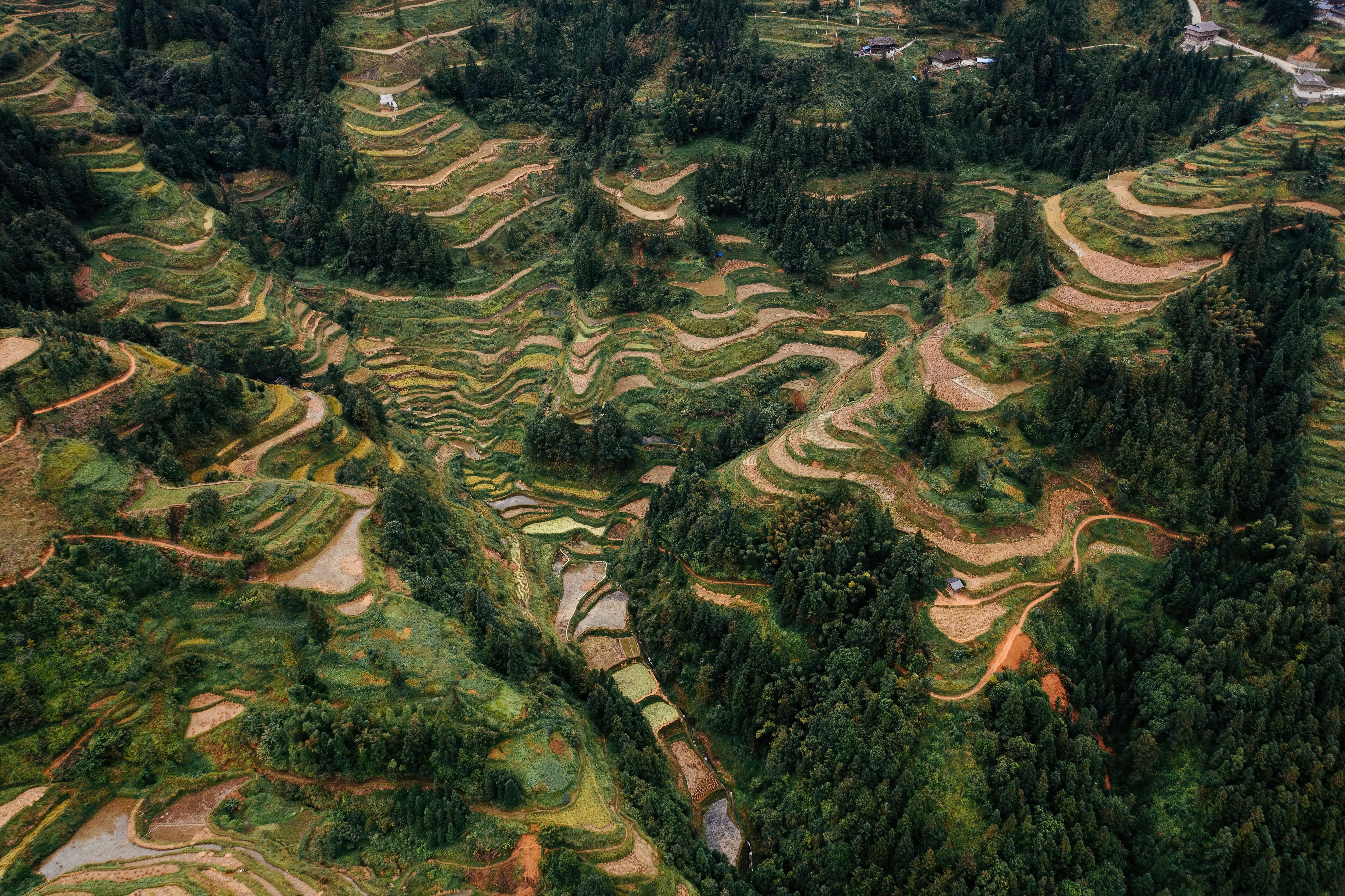 Terraced Fields Pictures | Download Free Images on Unsplash