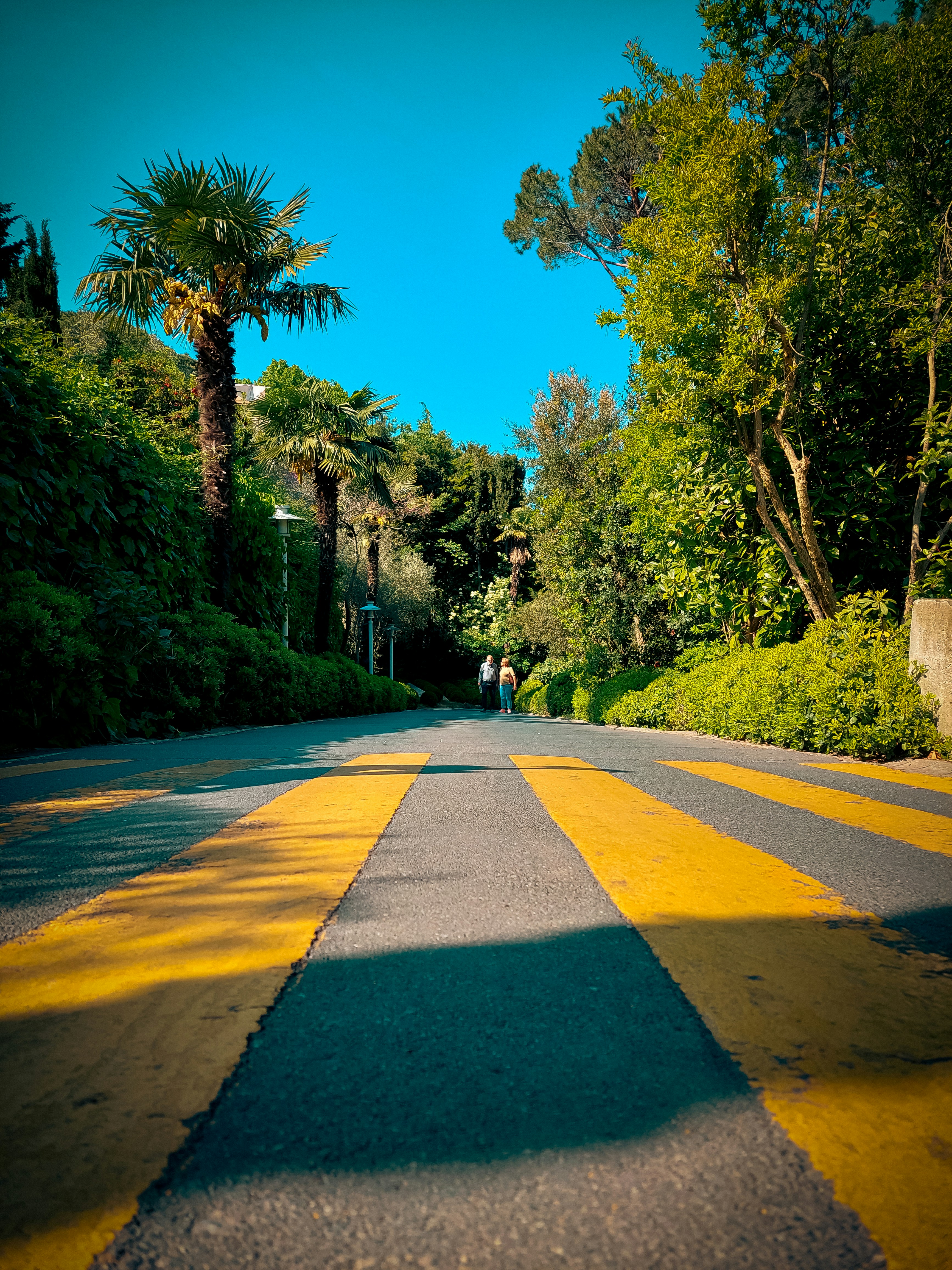 Yellow Stripes Toward the Horizon