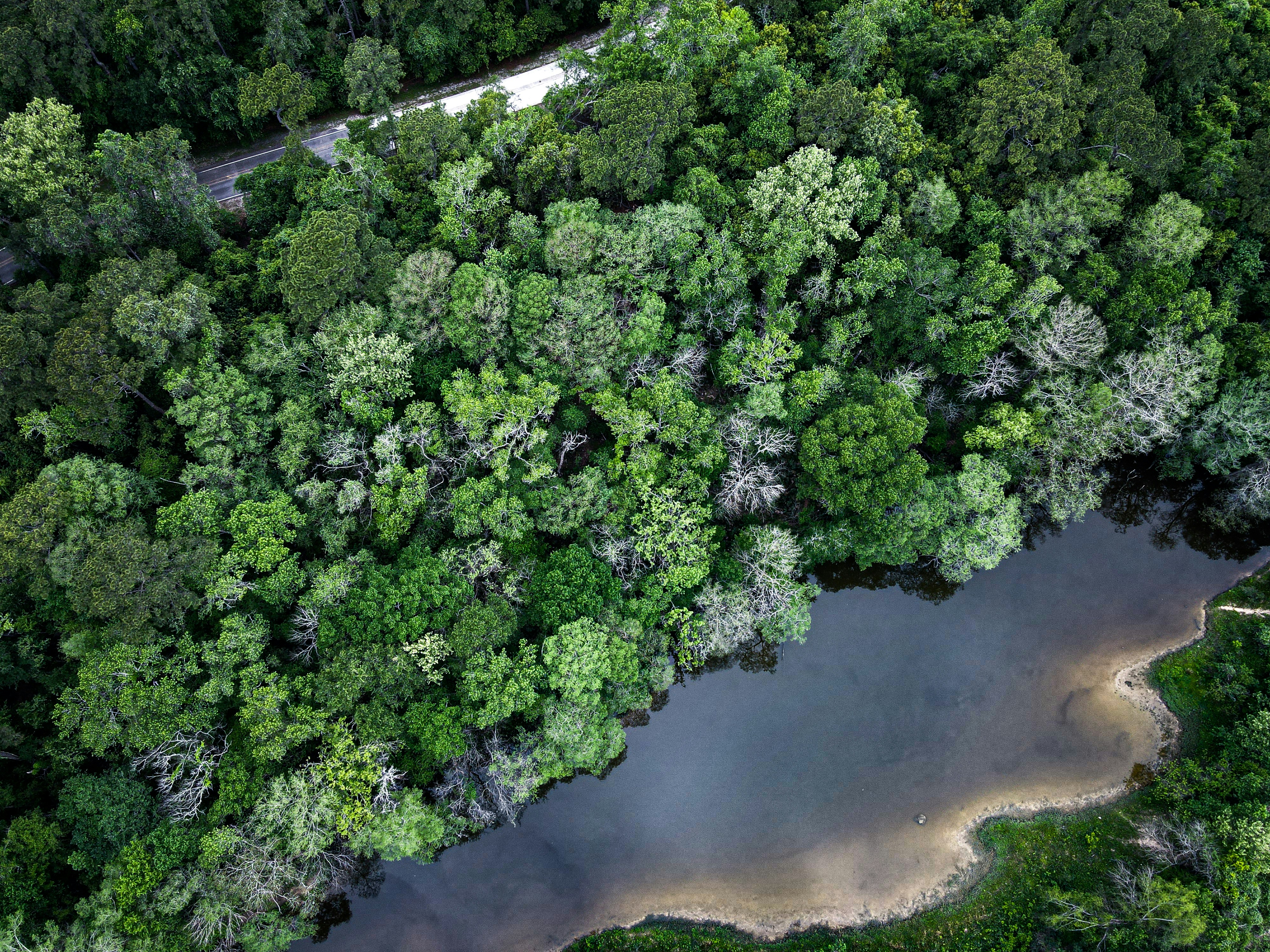 Photo by Anvesh Uppunuthula with DJI Air 2S