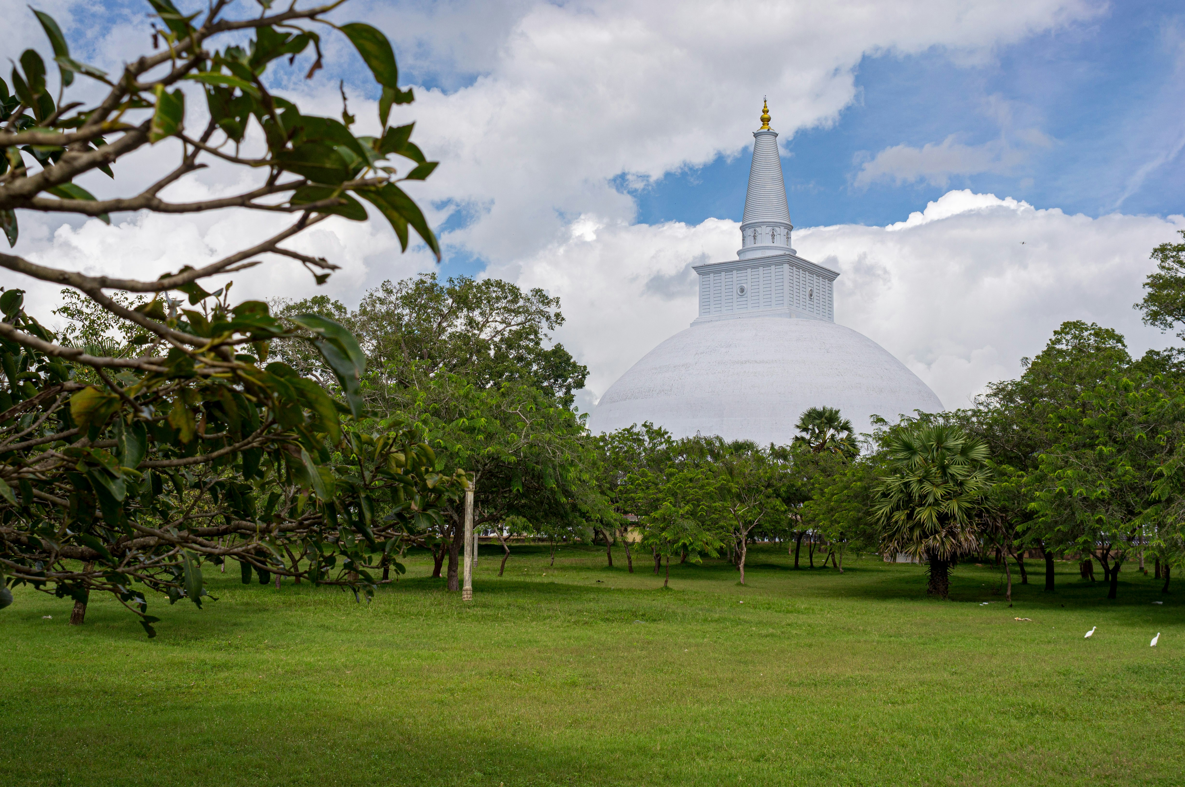 a view of a large white building through some trees