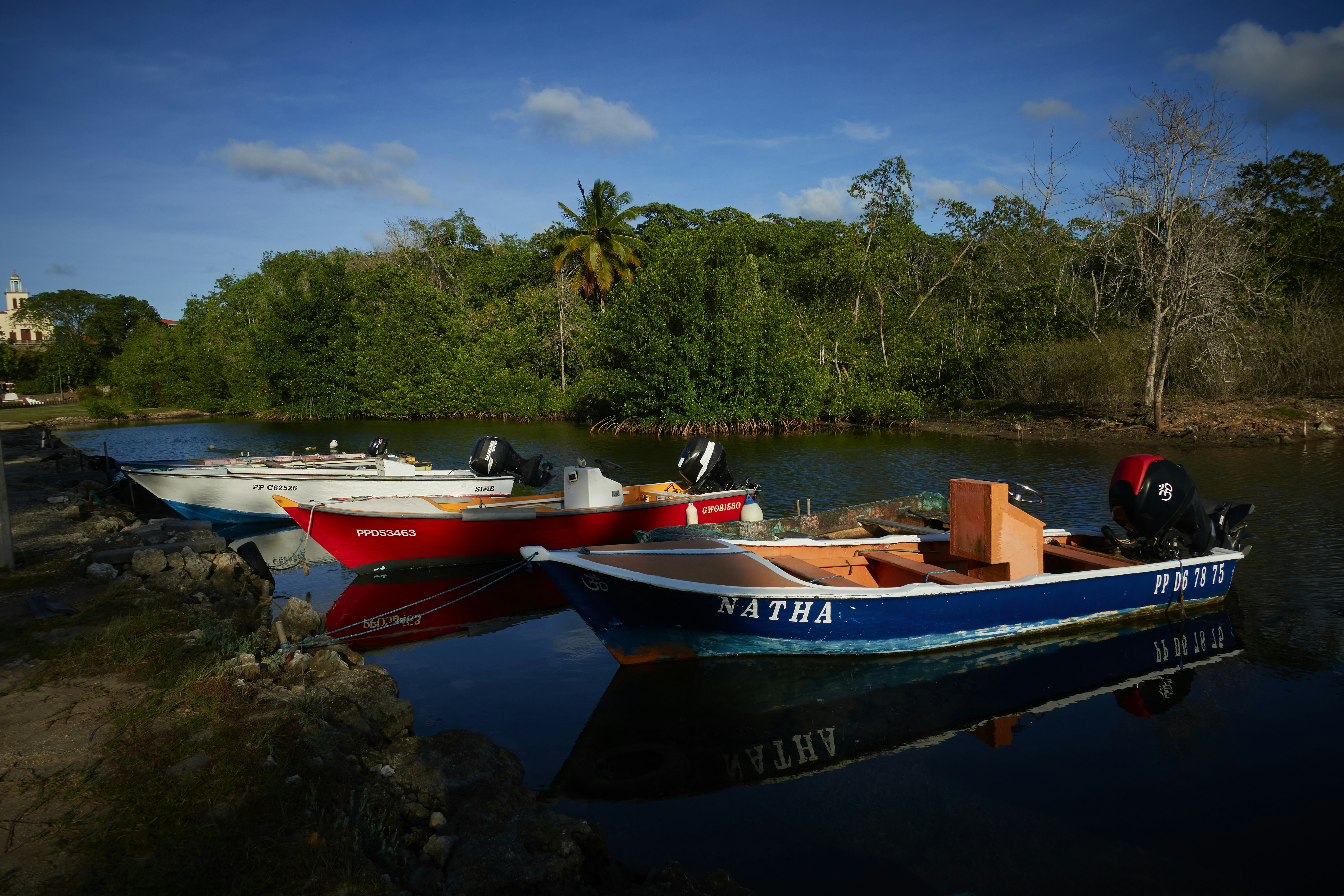 Three fishing boats moored by a serene riverbank, surrounded by lush greenery and a clear blue sky.