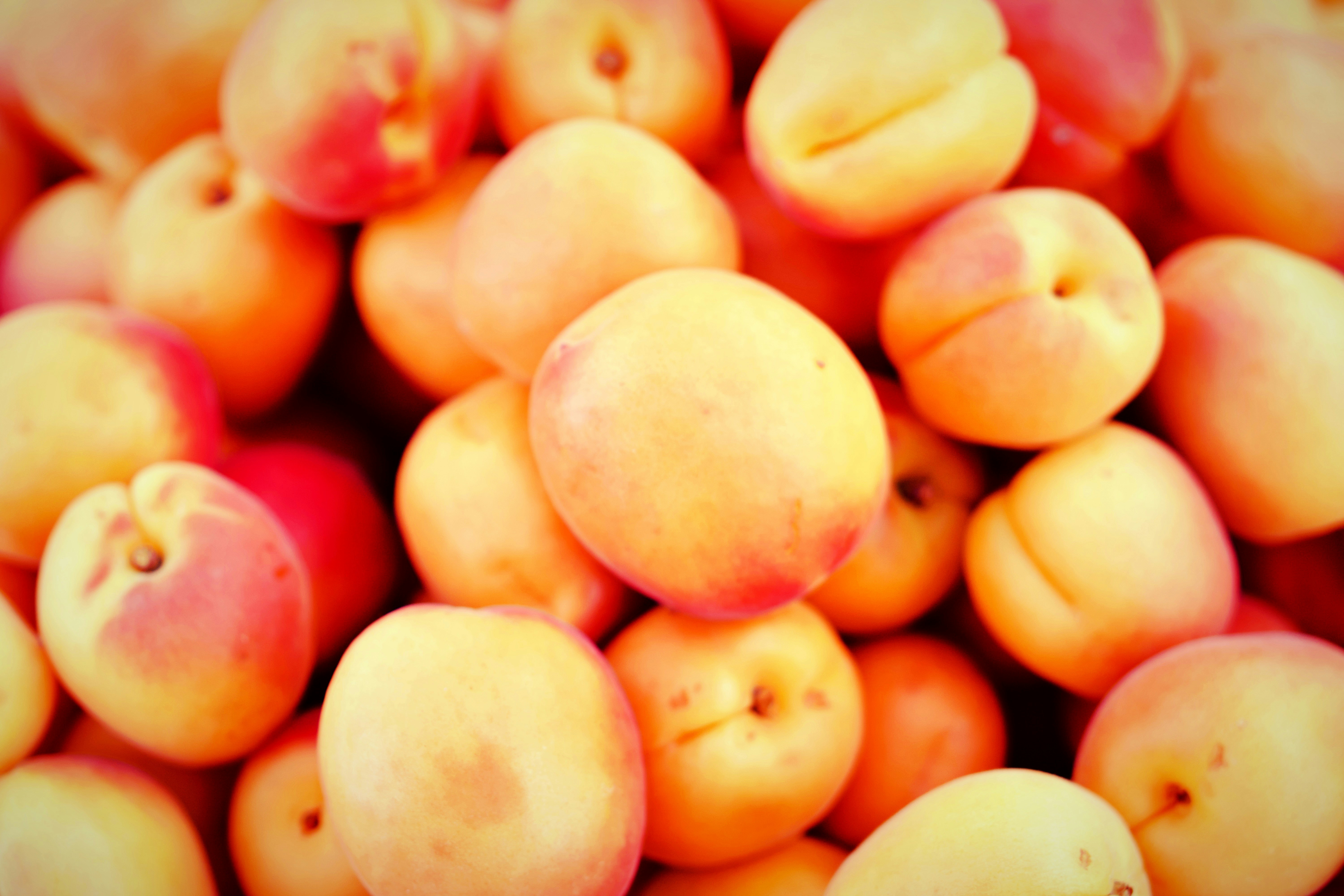 Images de Pêche Fruit | Téléchargez des images gratuites sur Unsplash