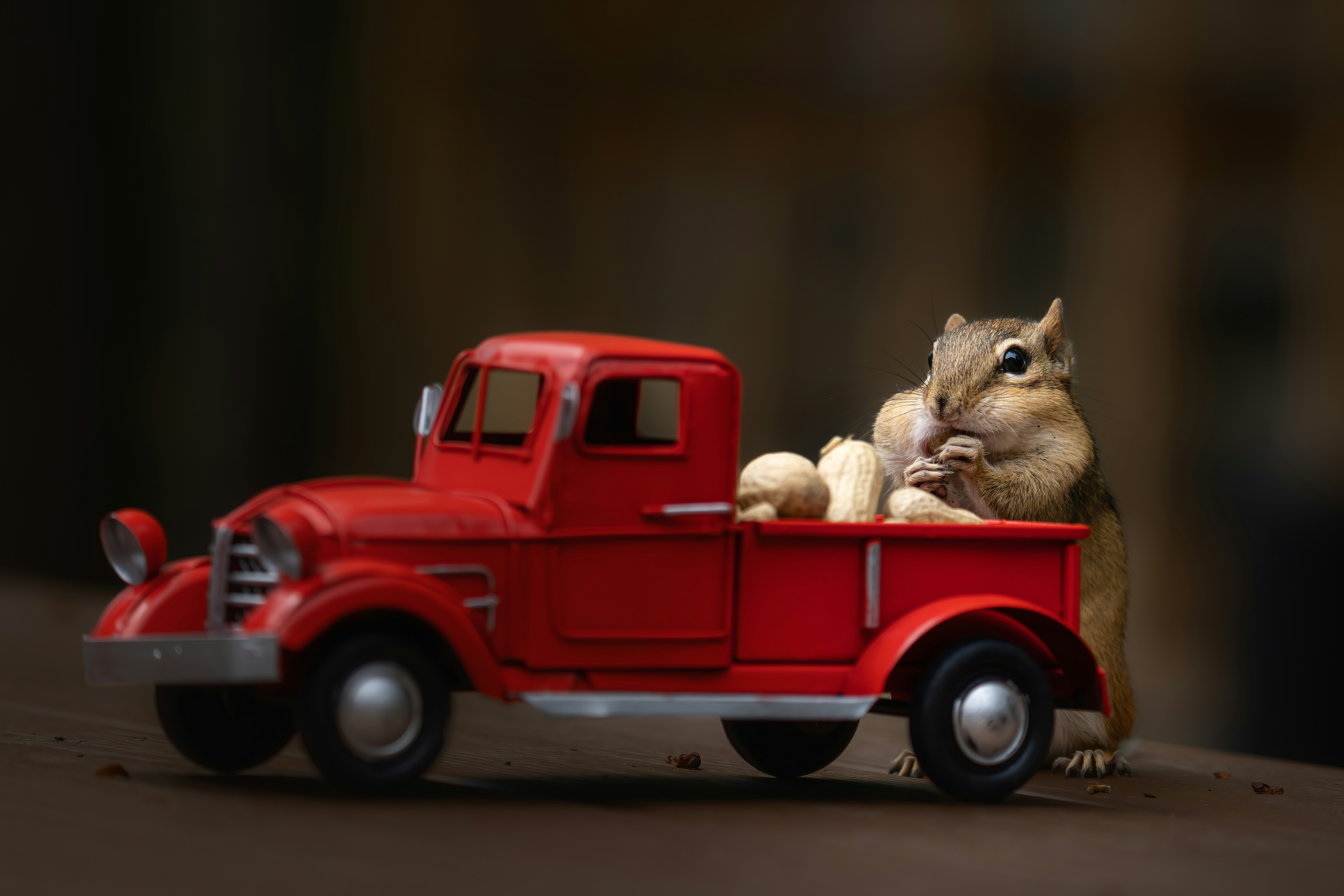 a red toy truck with a squirrel in the back