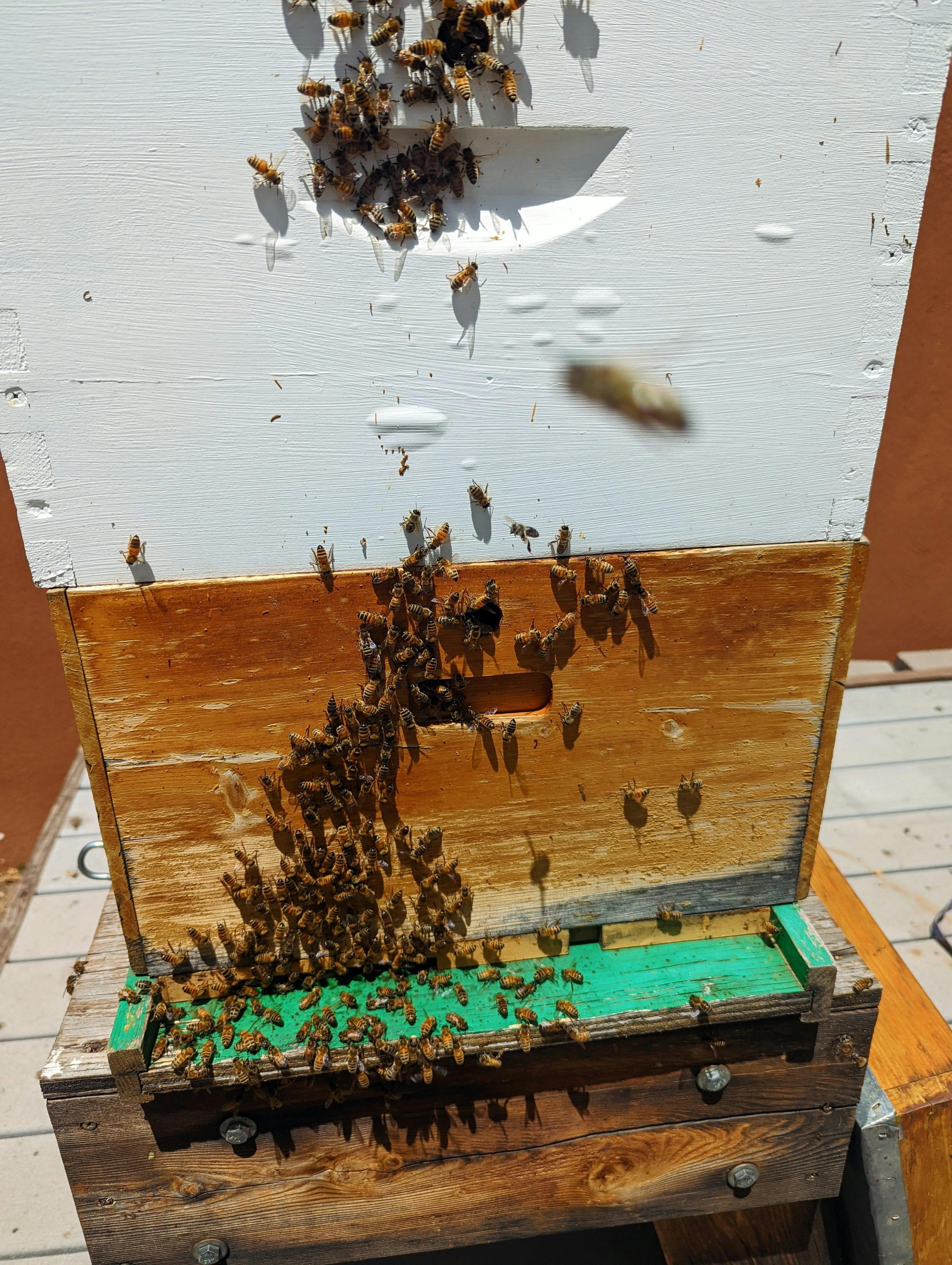The outside of a beehive full of bees.
