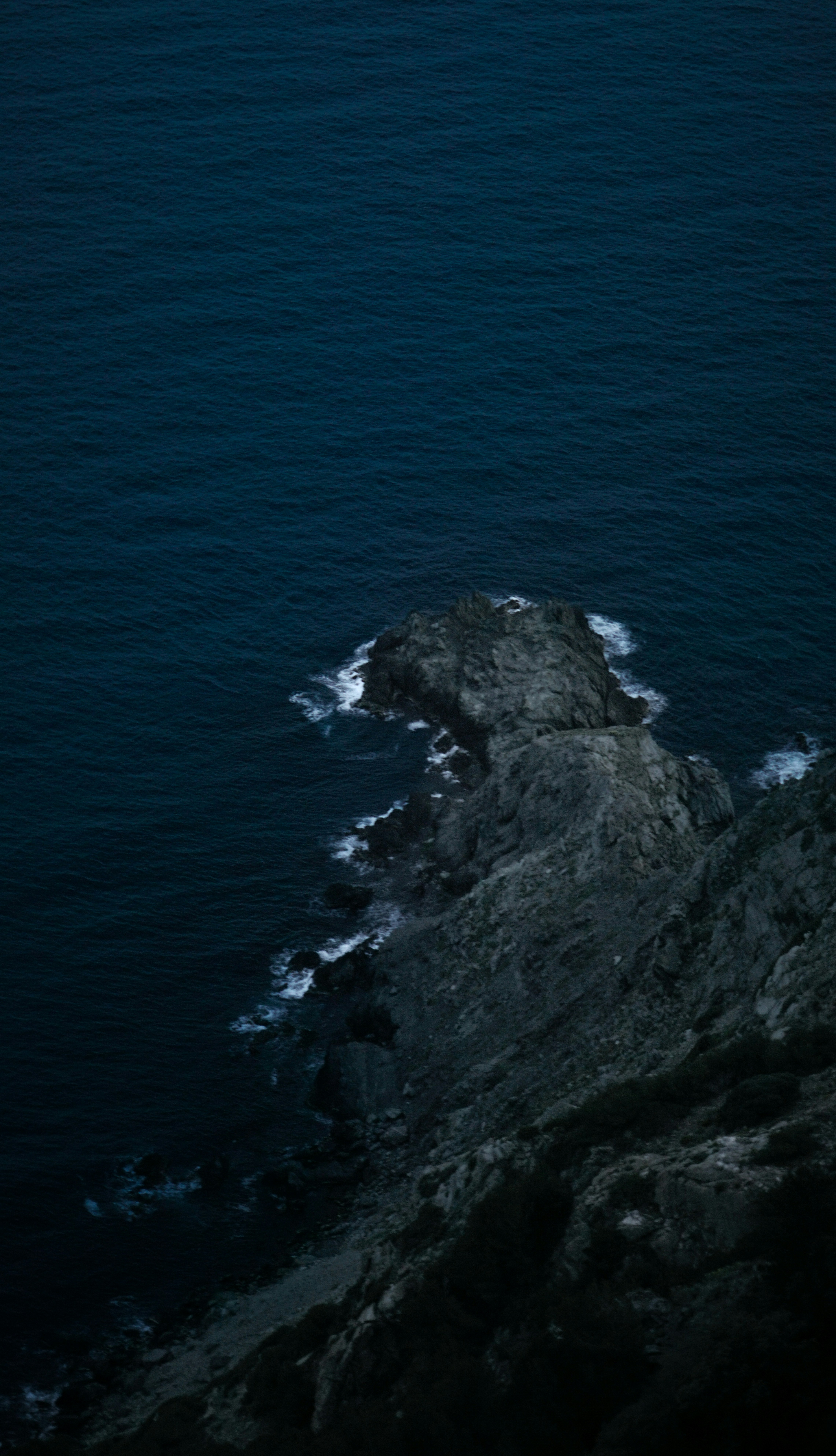 Un oiseau survolant un plan d’eau photo – Photo La nature Gratuite sur ...