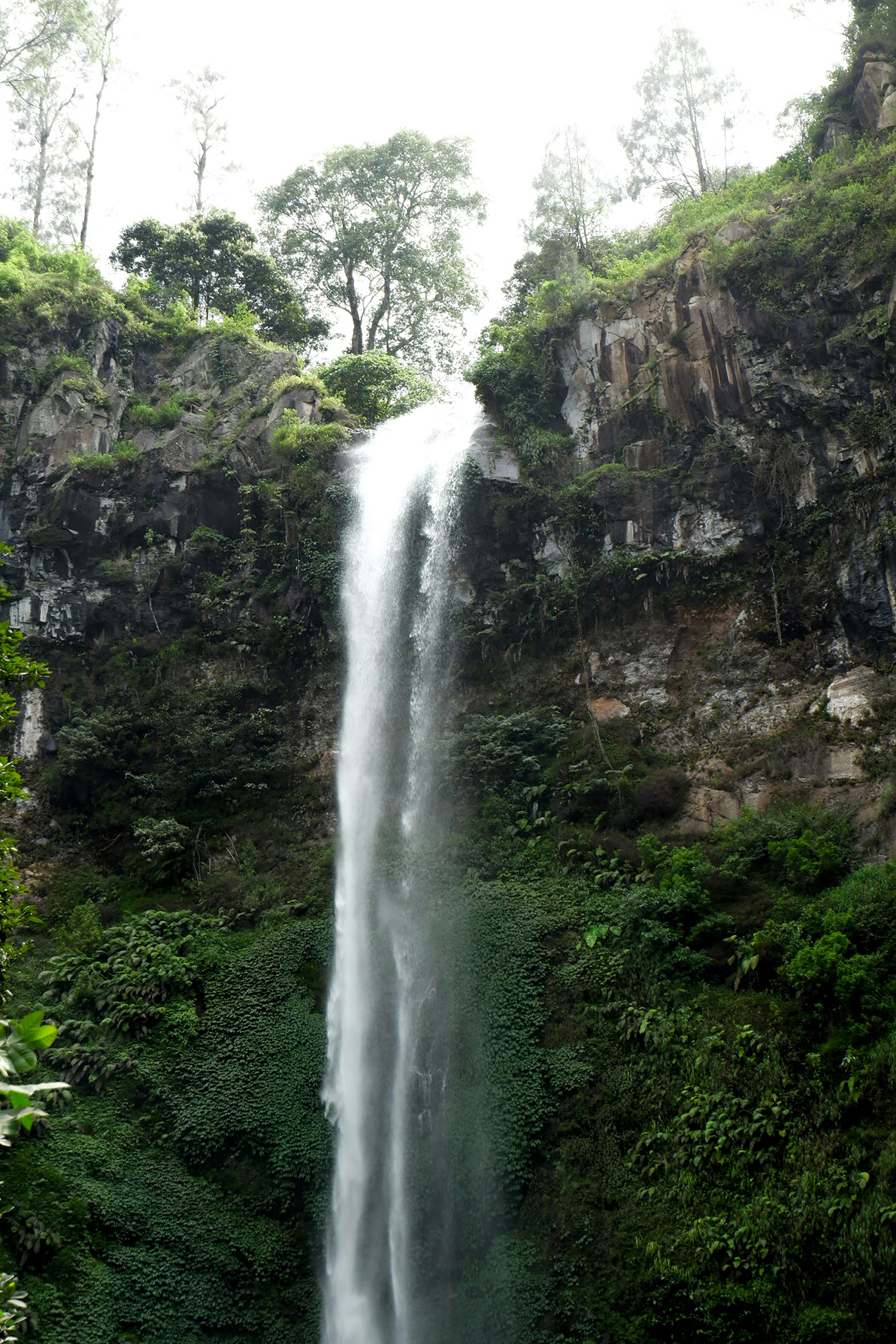 Une grande cascade au milieu d’une forêt photo – Photo Indonésie ...