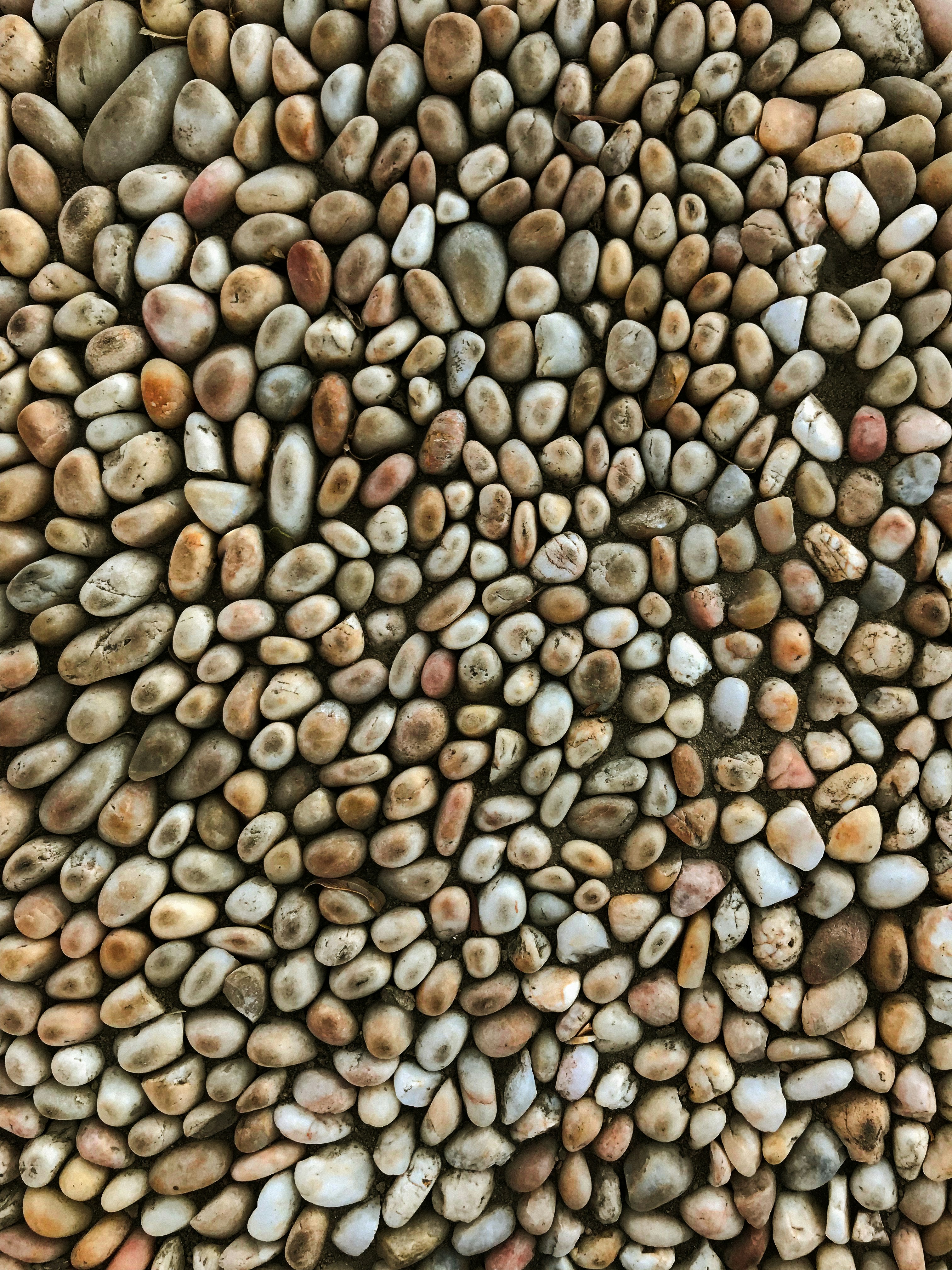 An intricate arrangement of smooth pebbles in various shades, creating a natural mosaic. The composition highlights the diverse textures and colors found in nature.