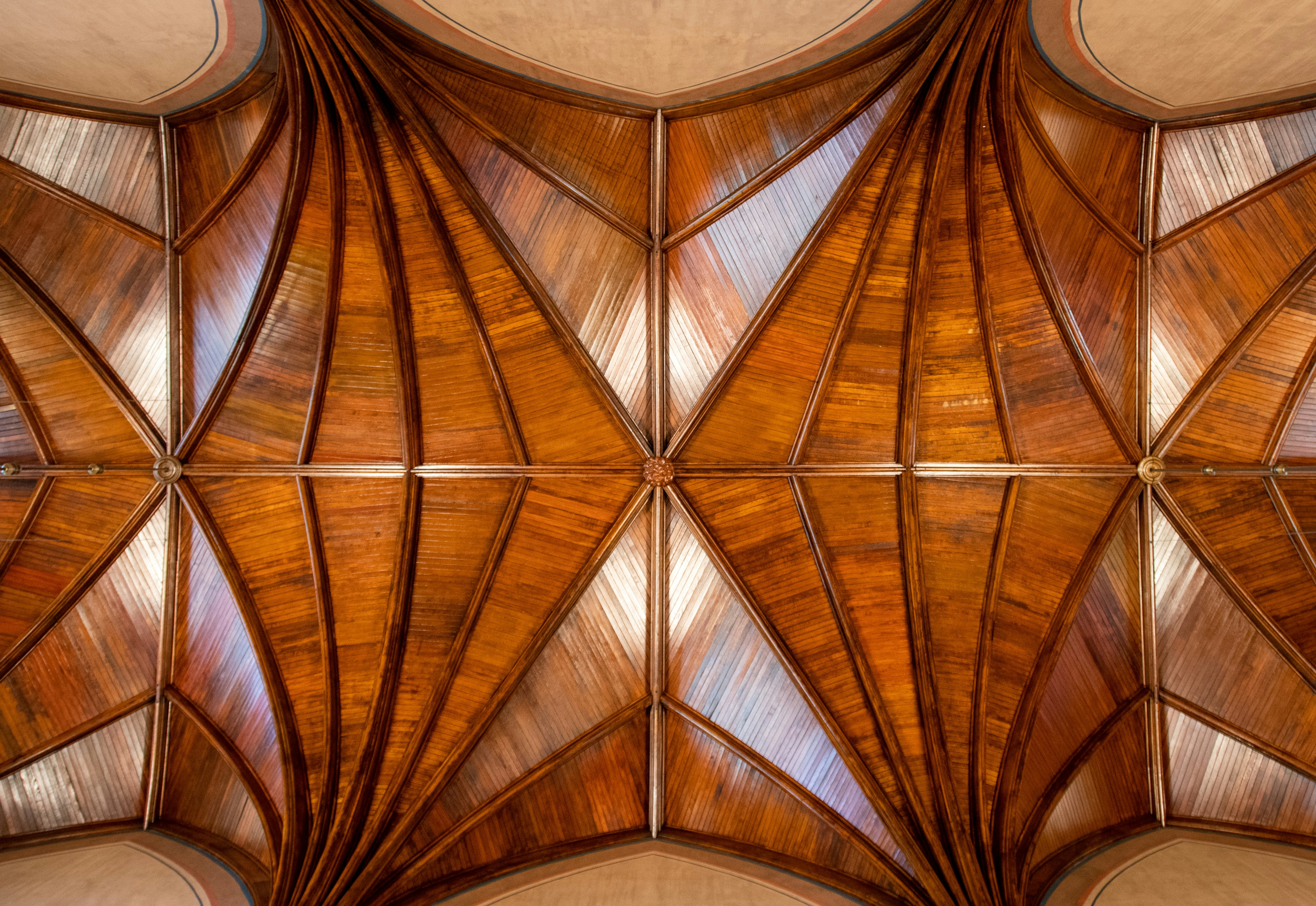Symphony of Wooden Arches