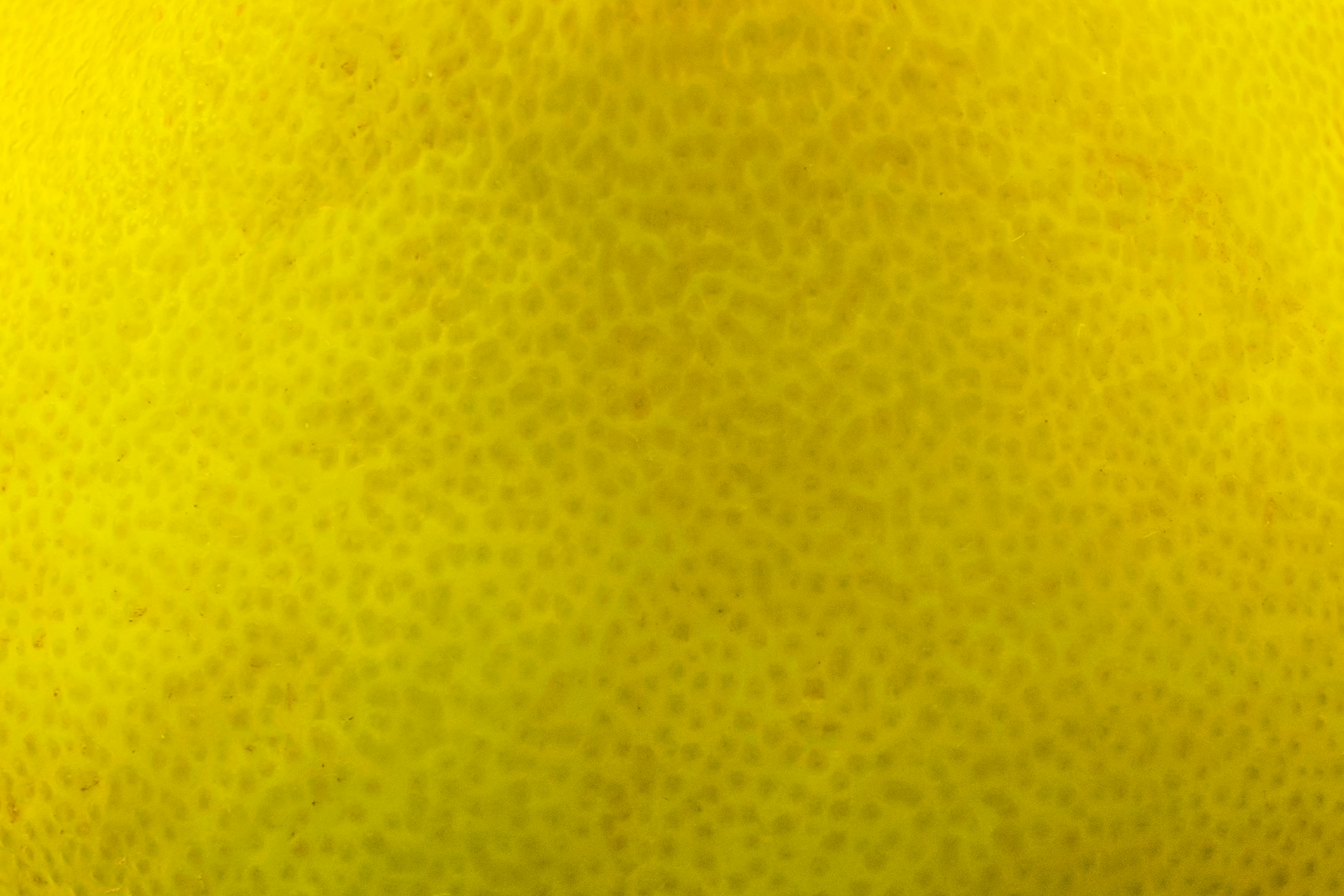 Fruit Skin Texture