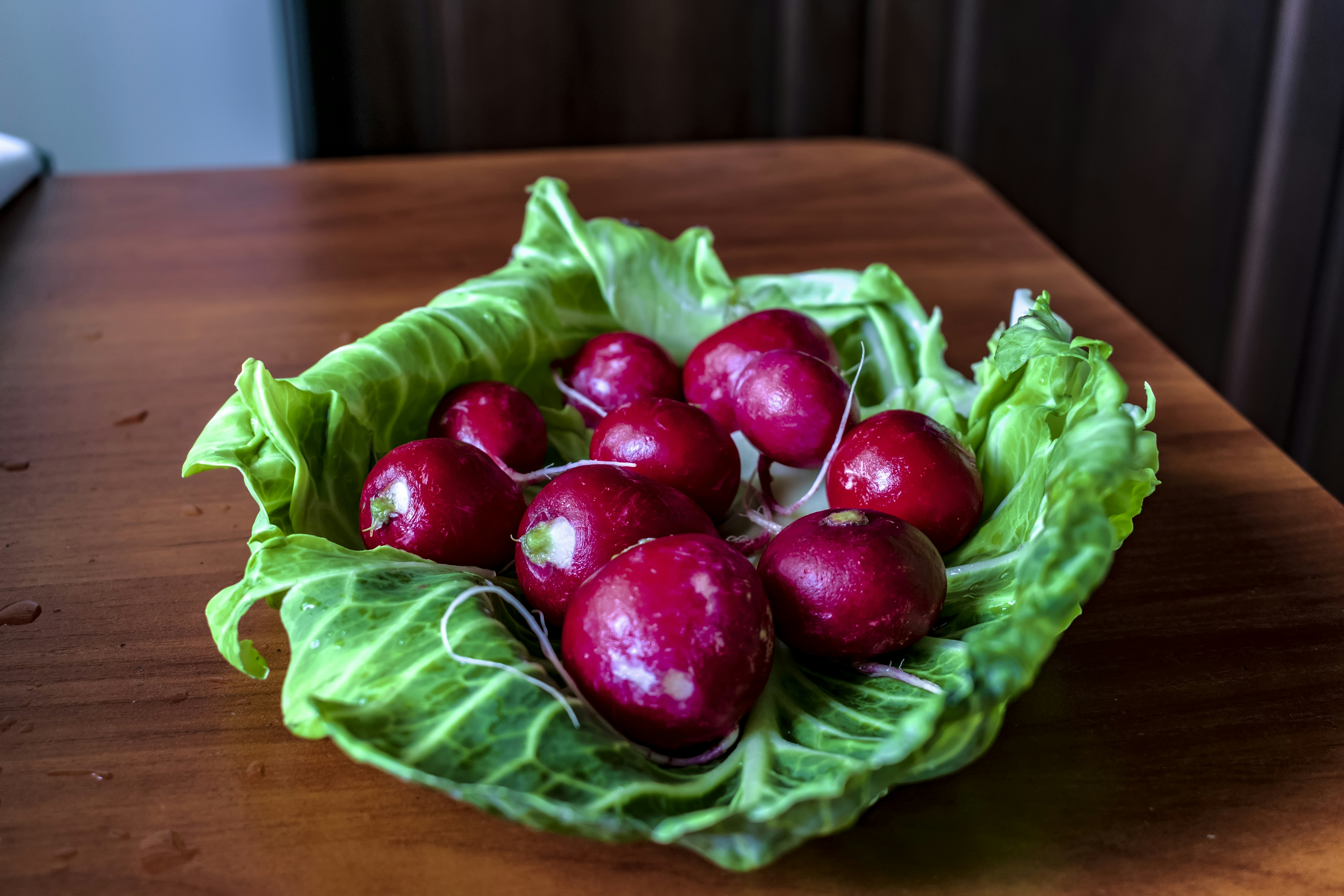 Crimson Radishes Rest in a Lettuce Nest on a Rustic Wood Table
