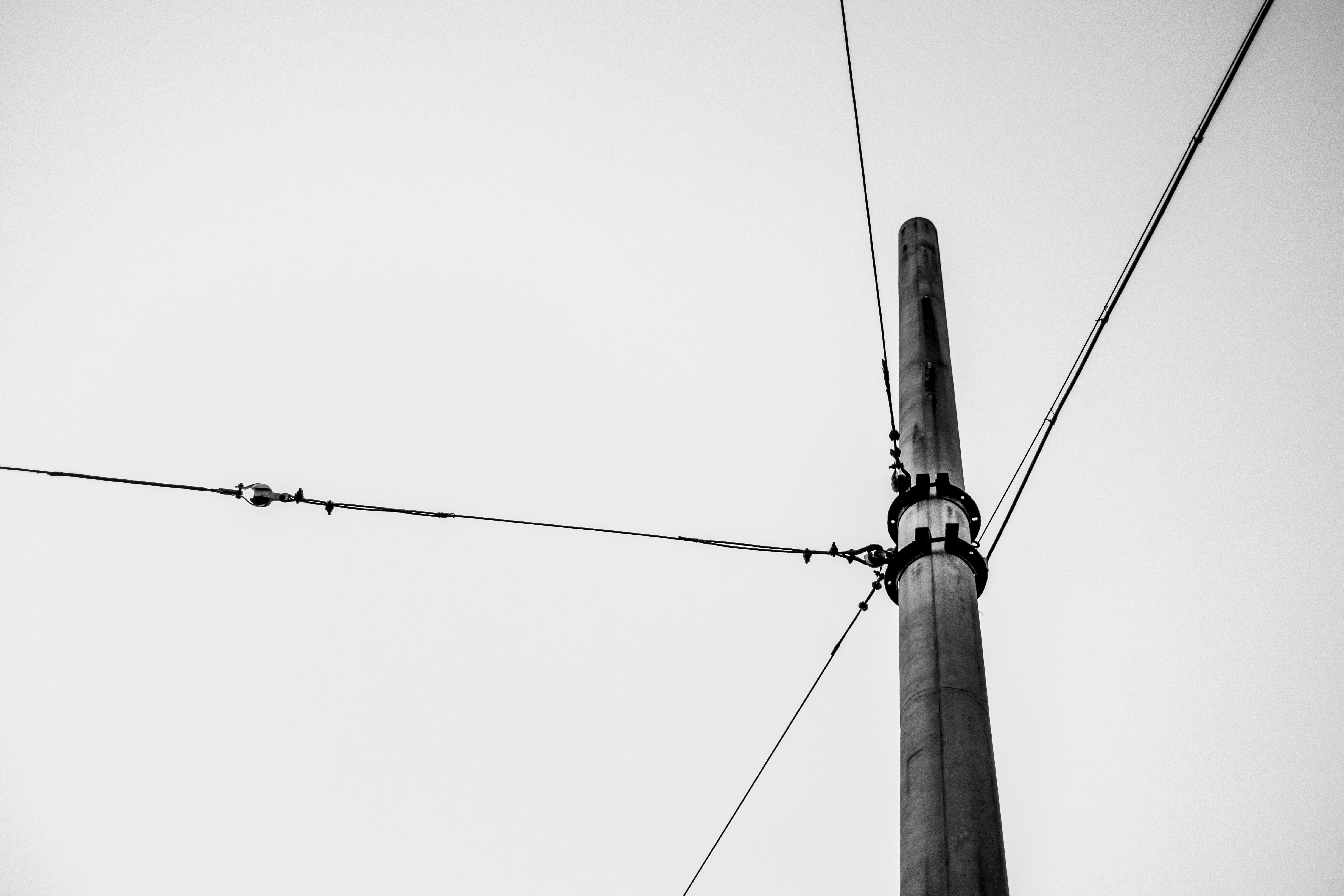 A stark utility pole rises against a pale sky, intersected by a web of cables creating geometric patterns.