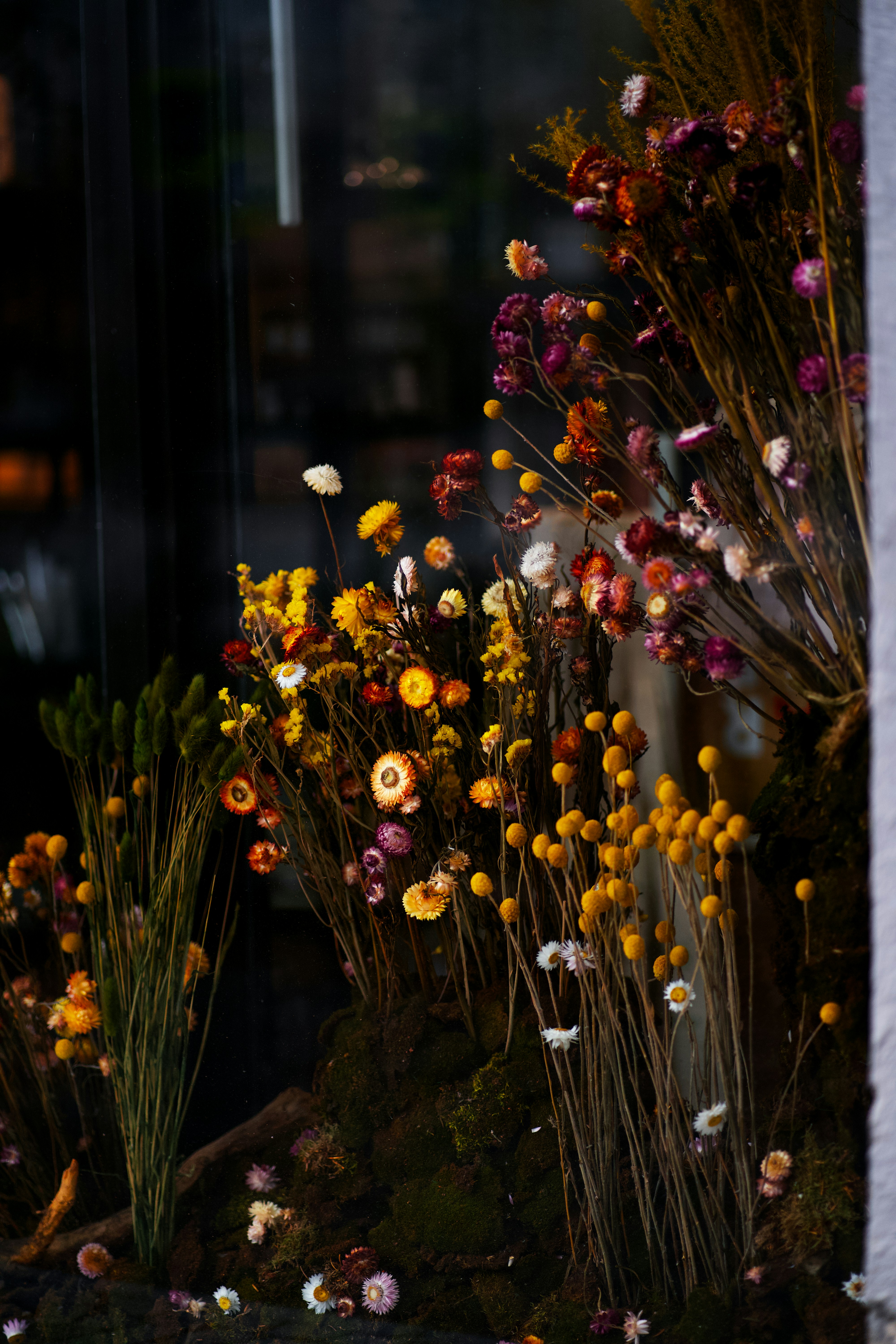 Vibrant arrangement of dried flowers in a display window, showcasing an array of colors and textures. A blend of natural beauty and artistic design.