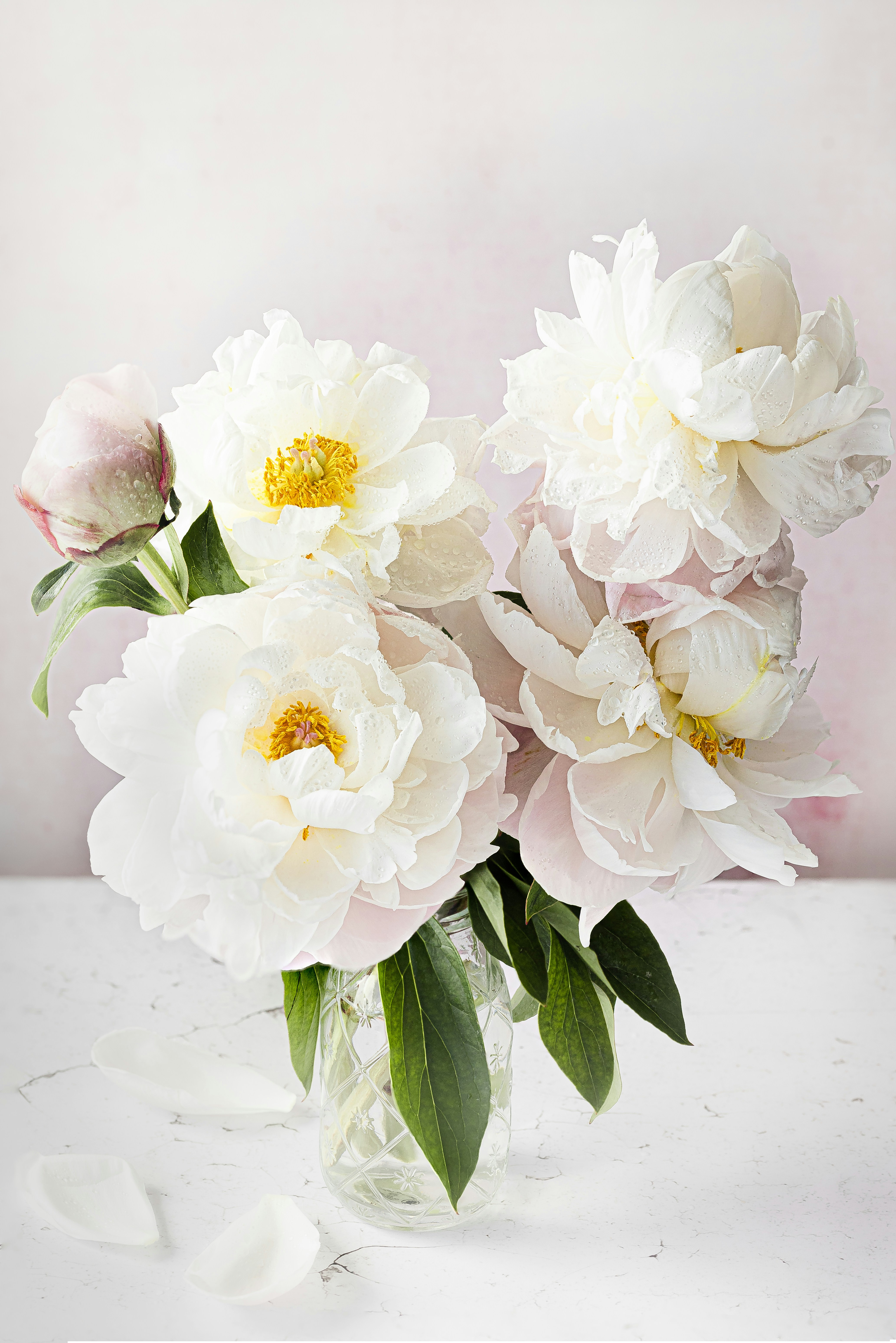 A vase filled with white flowers on top of a table photo – Free Flower ...