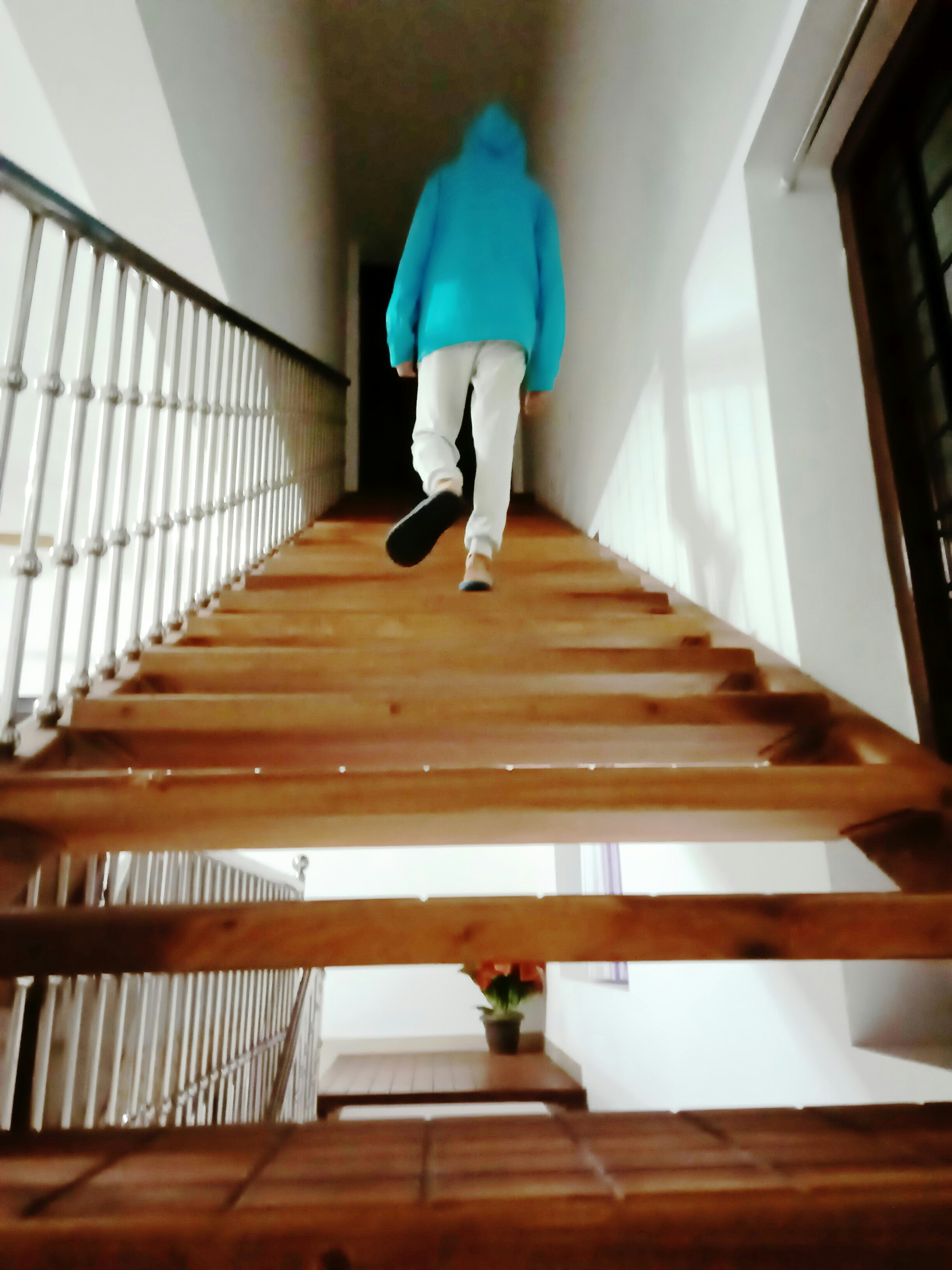 Flying Down Stairs