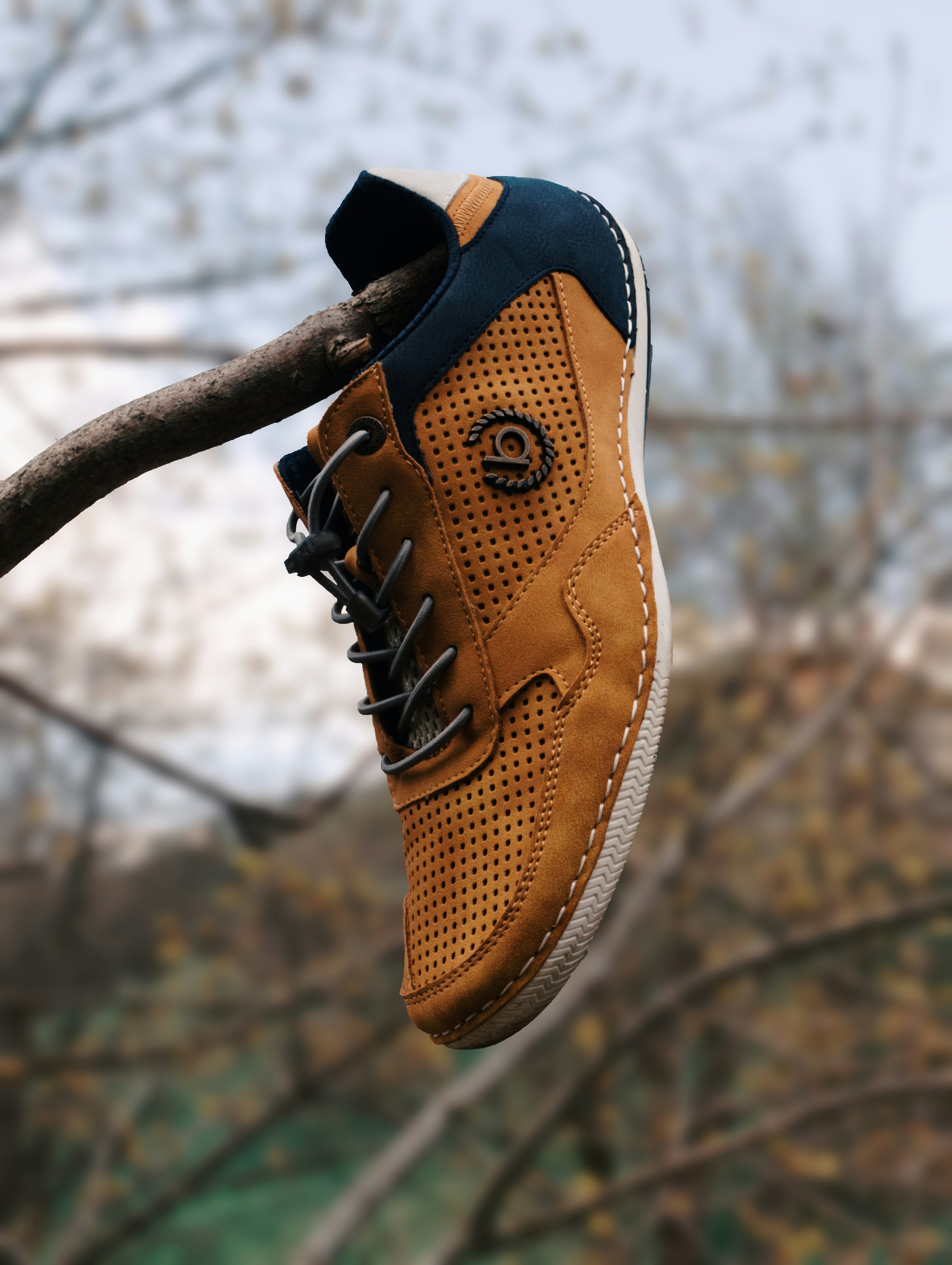 A pair of shoes hanging from a tree branch photo – Free Shoe Image on ...