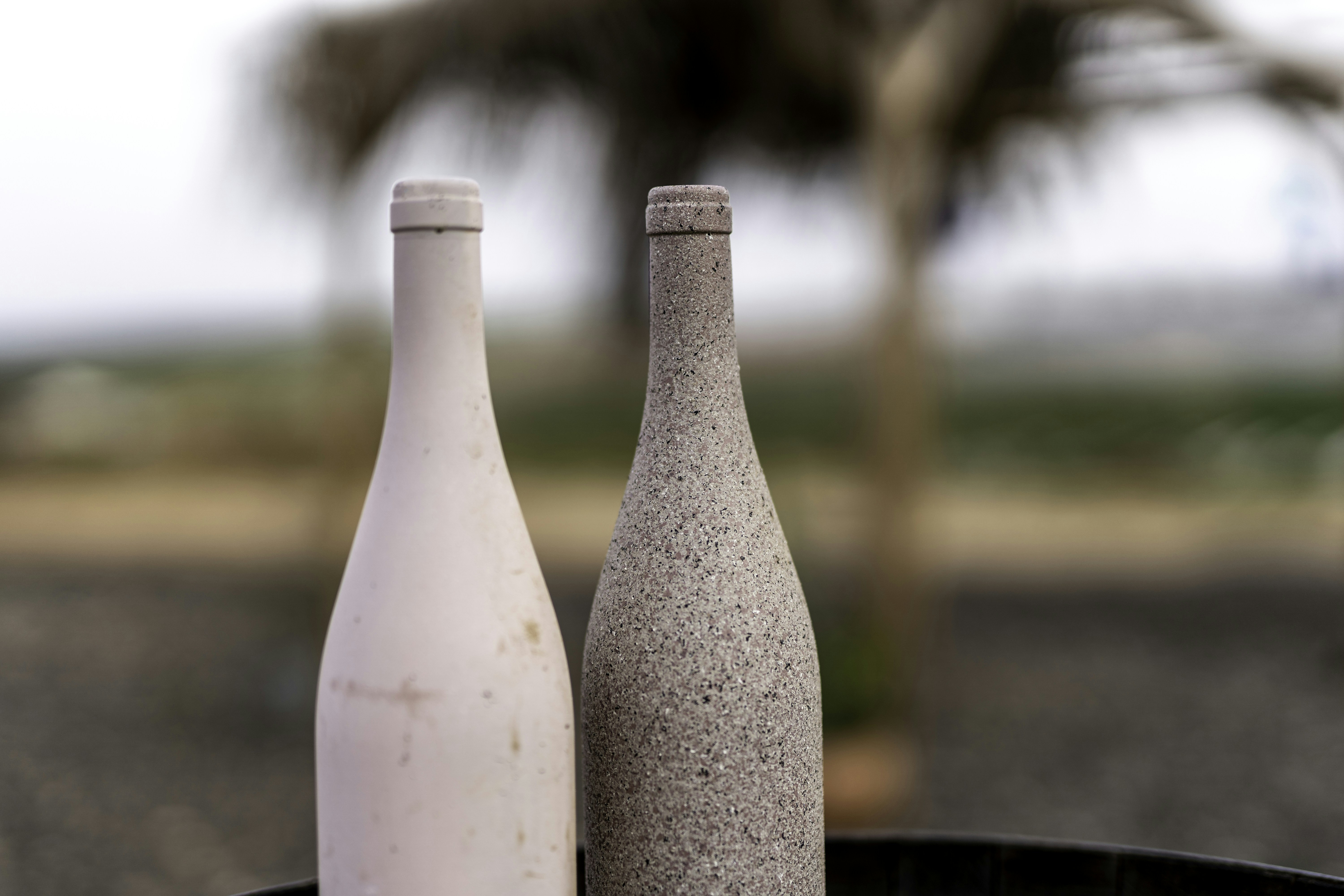 Two Weathered Wine Bottles Guard a Blurred Seaside Landscape