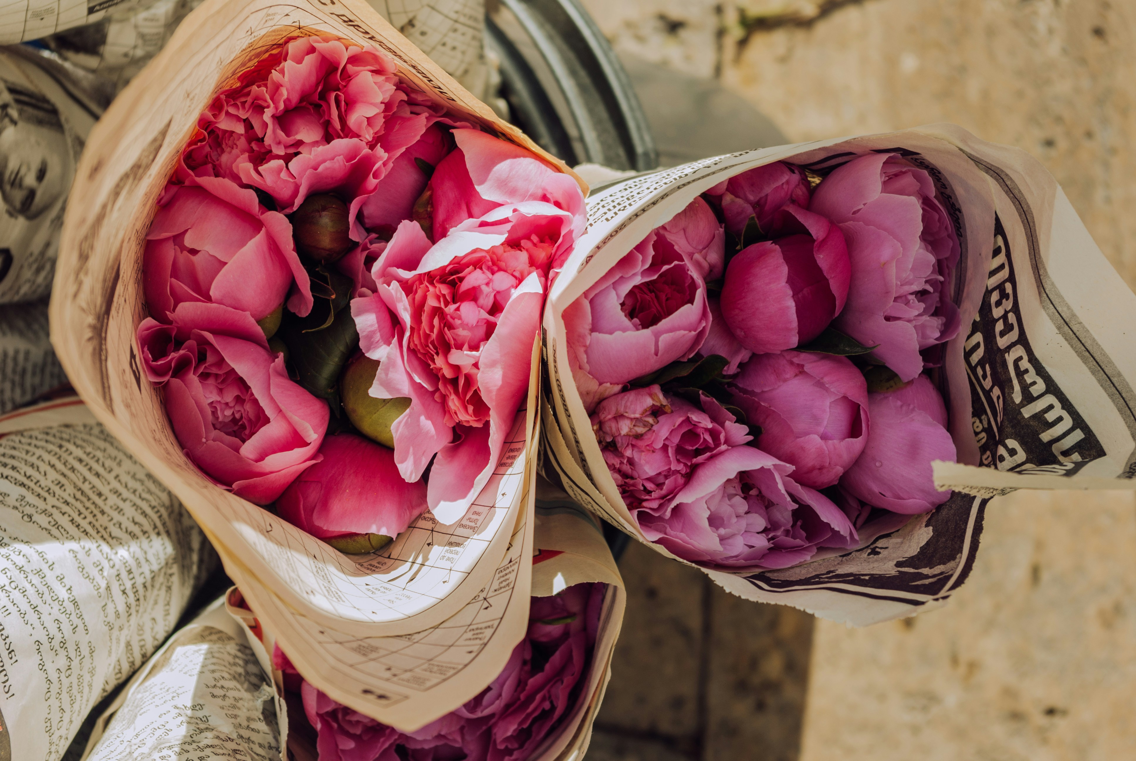 A bunch of pink flowers wrapped in newspaper photo – Free Plant Image ...