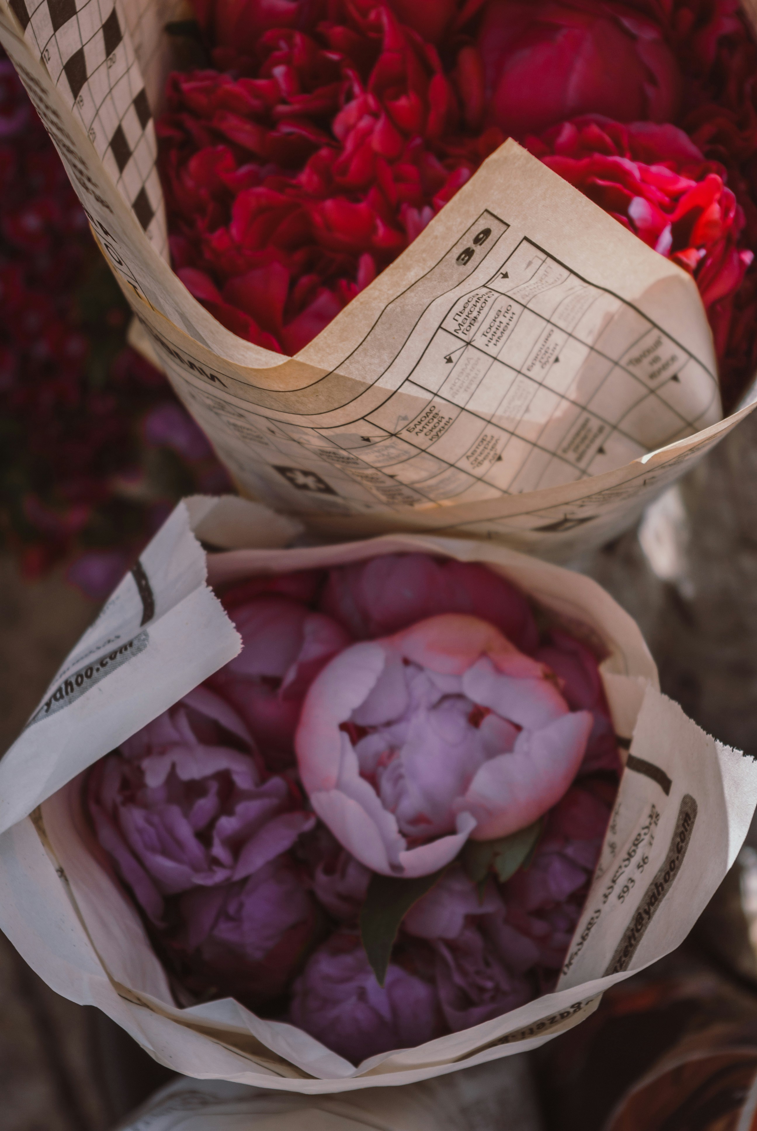 Blooms Wrapped in Newsprint: Peonies in Quiet Gratitude