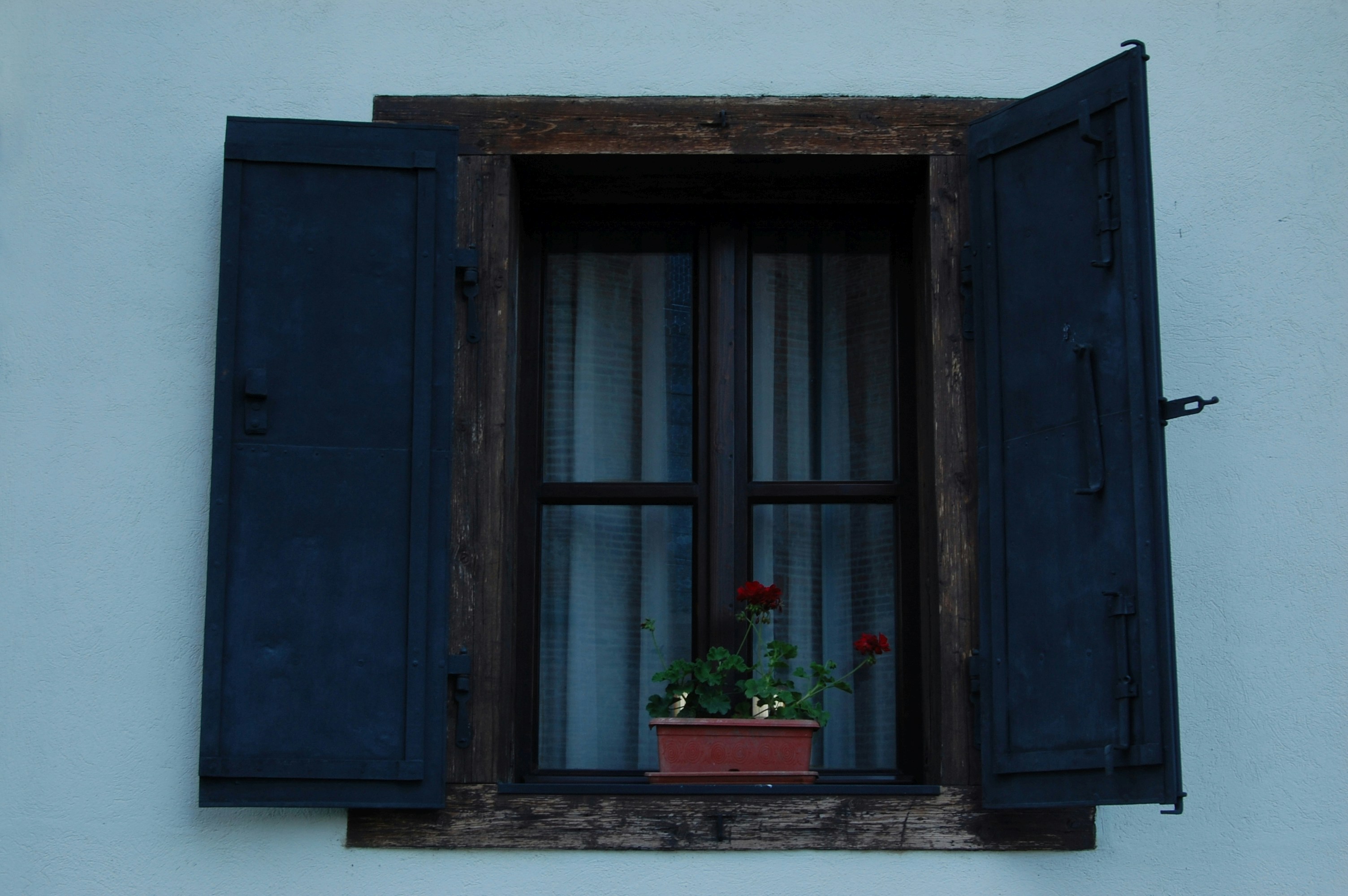 Azure Shutters, Crimson Geraniums: A Quiet Window on a Blue Wall