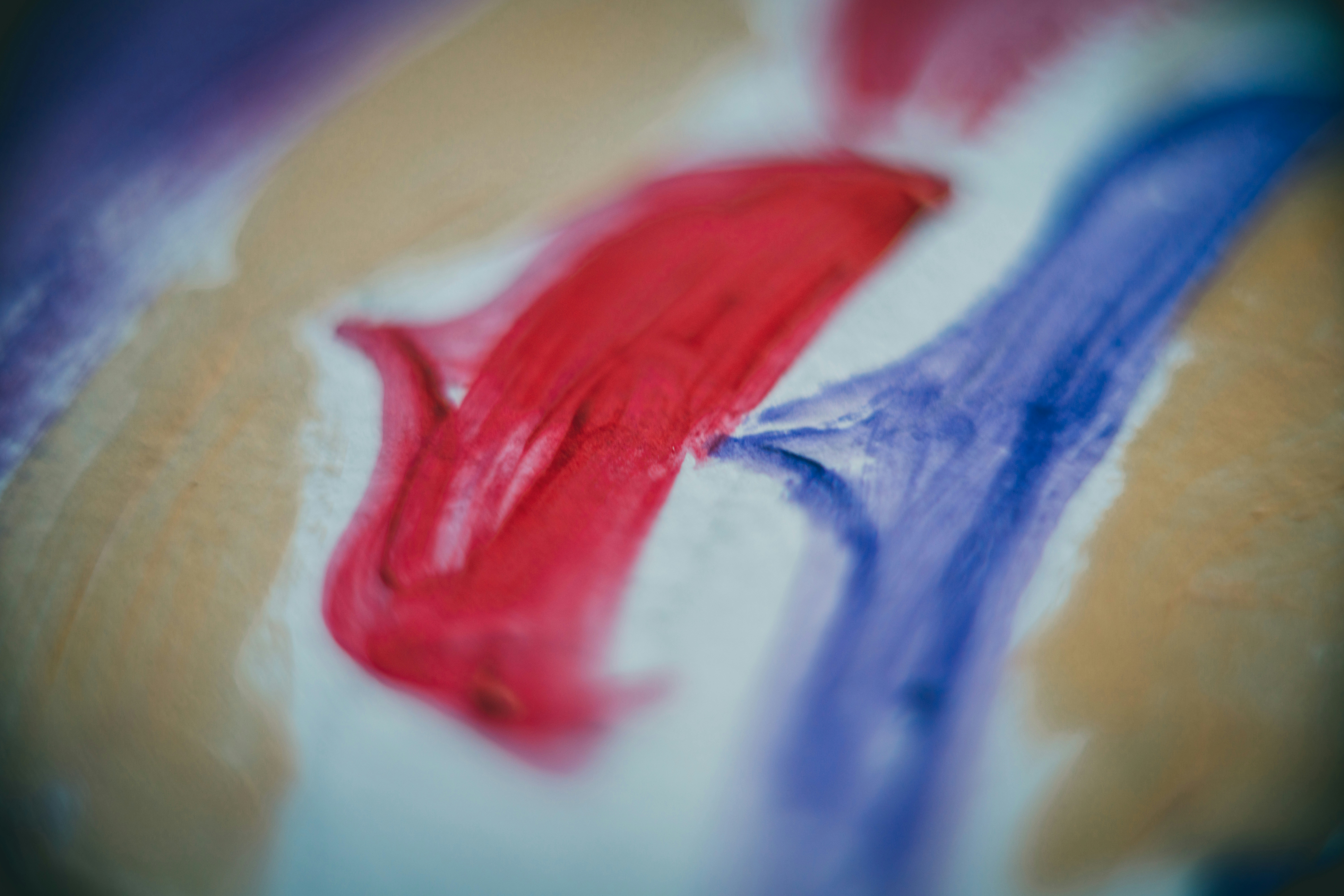 Crimson and cobalt brushwork in a soft-focused canvas study