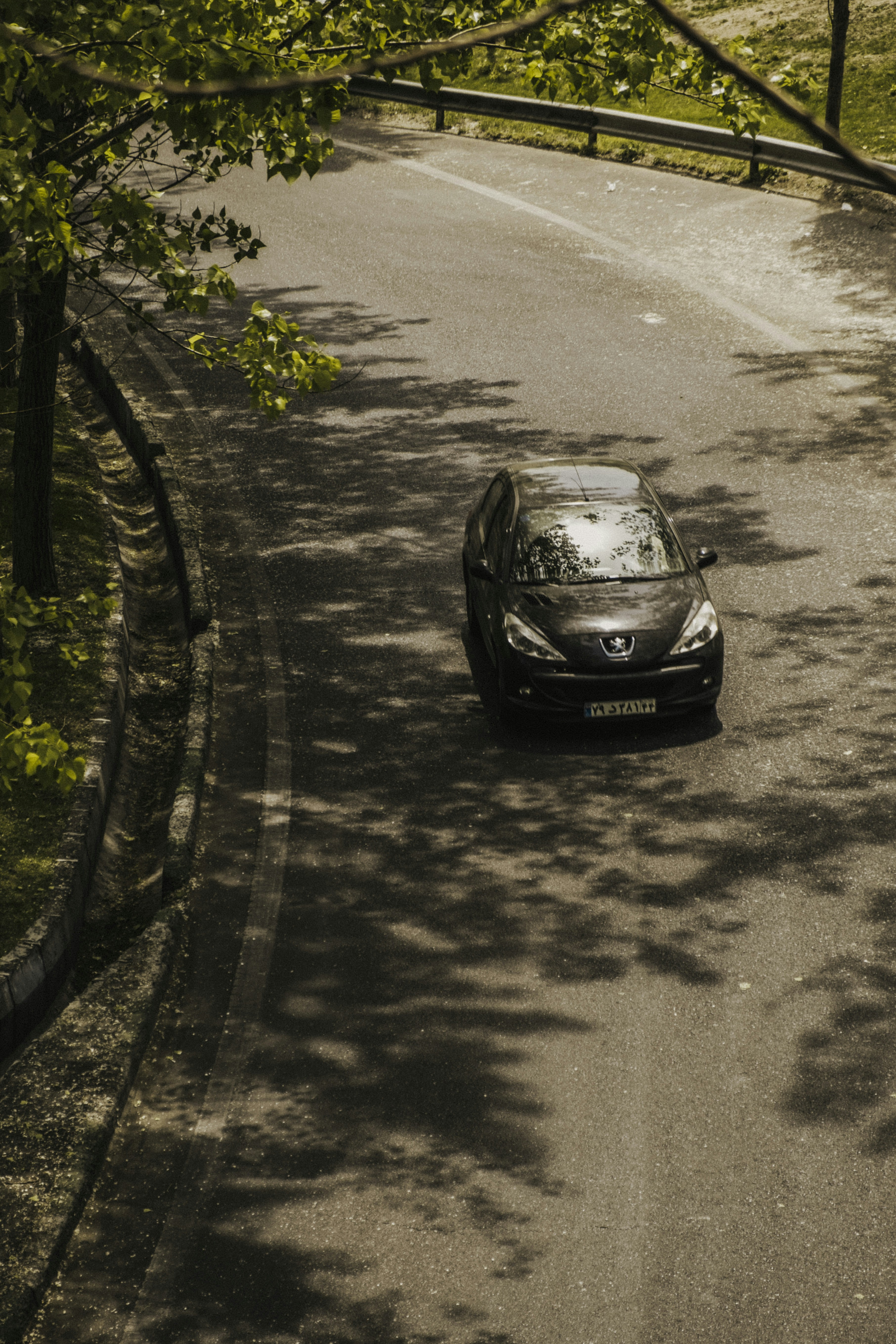 Dappled Curve: A Dark Peugeot Navigates a Sunlit Forest Road
