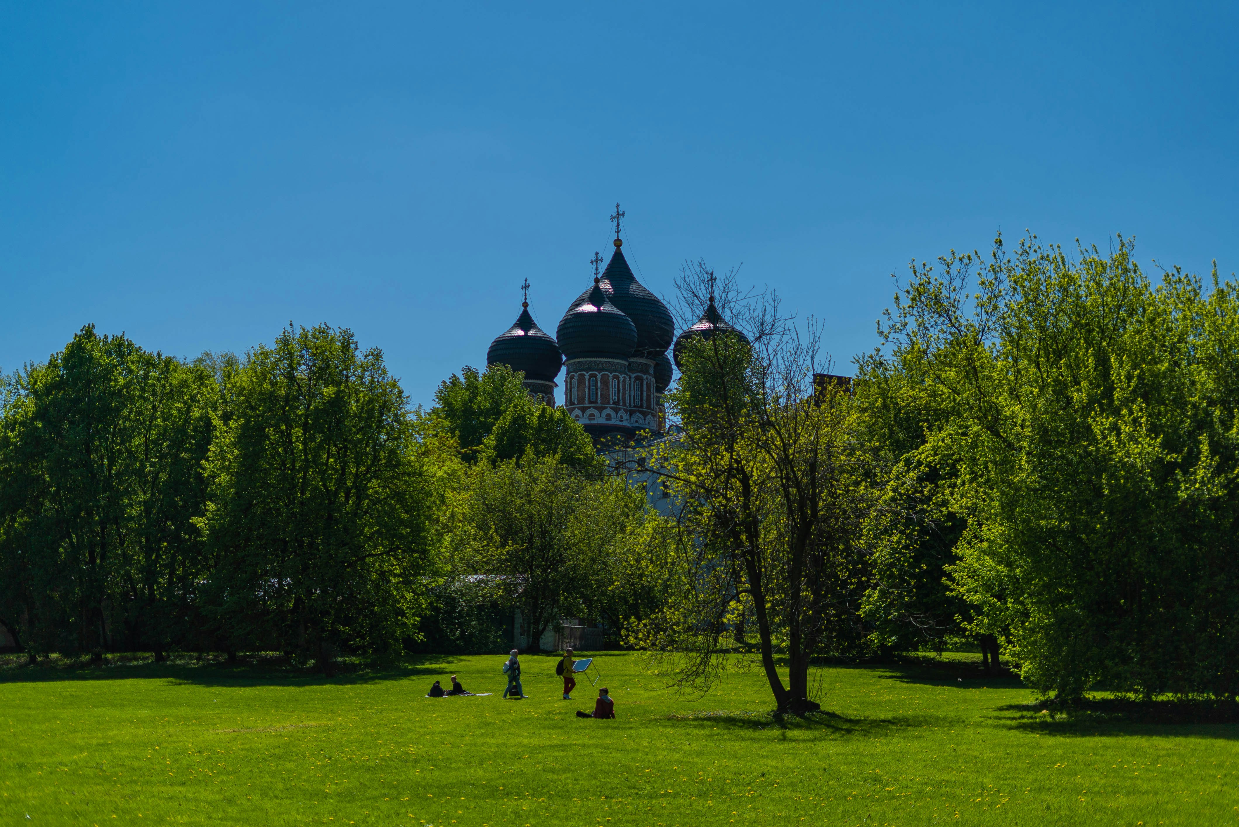 Ivory Domes Above a Sunlit Park Canopy