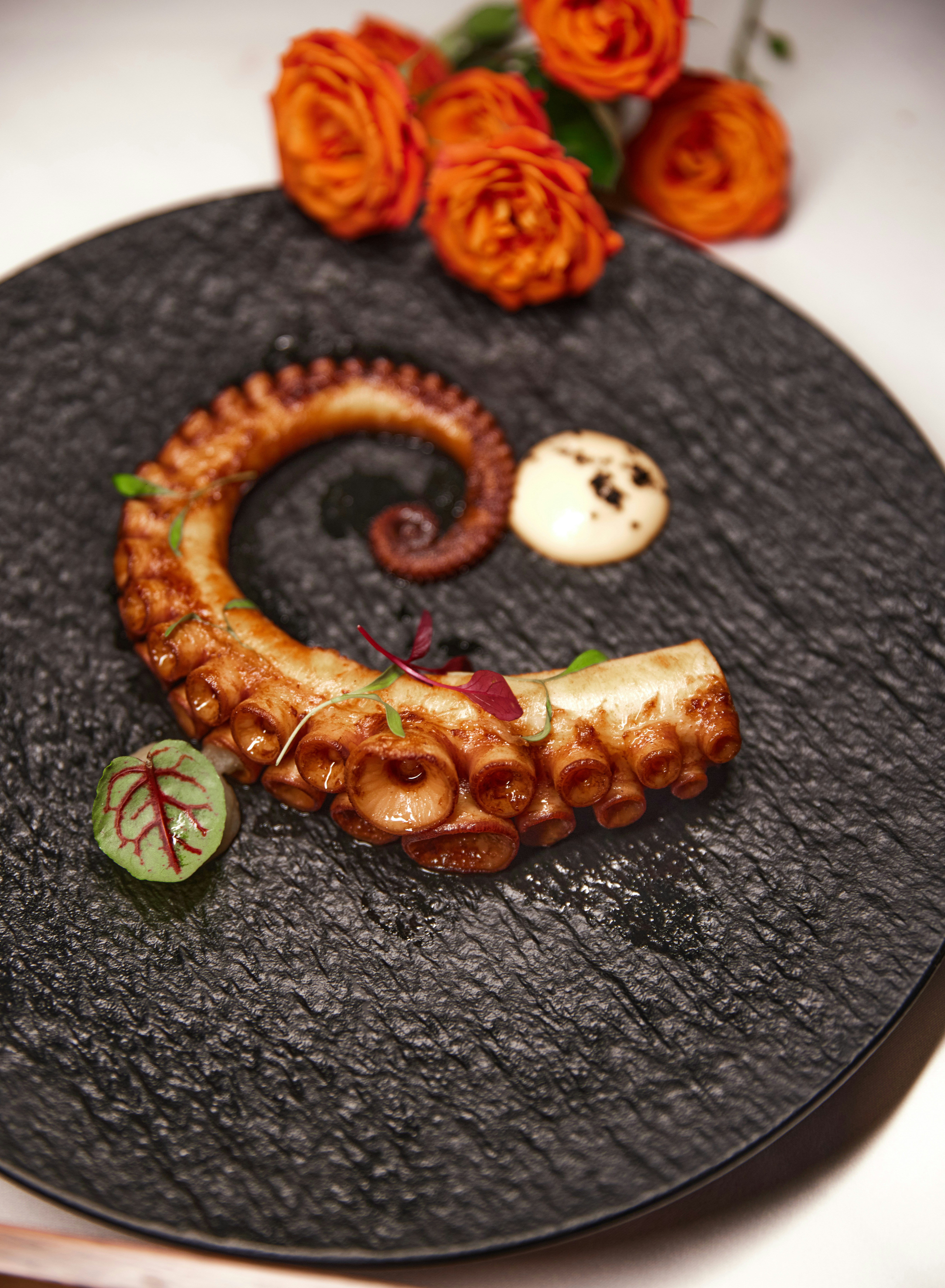 Coiled Octopus on a Charred Slate Plate, Framed by Orange Roses