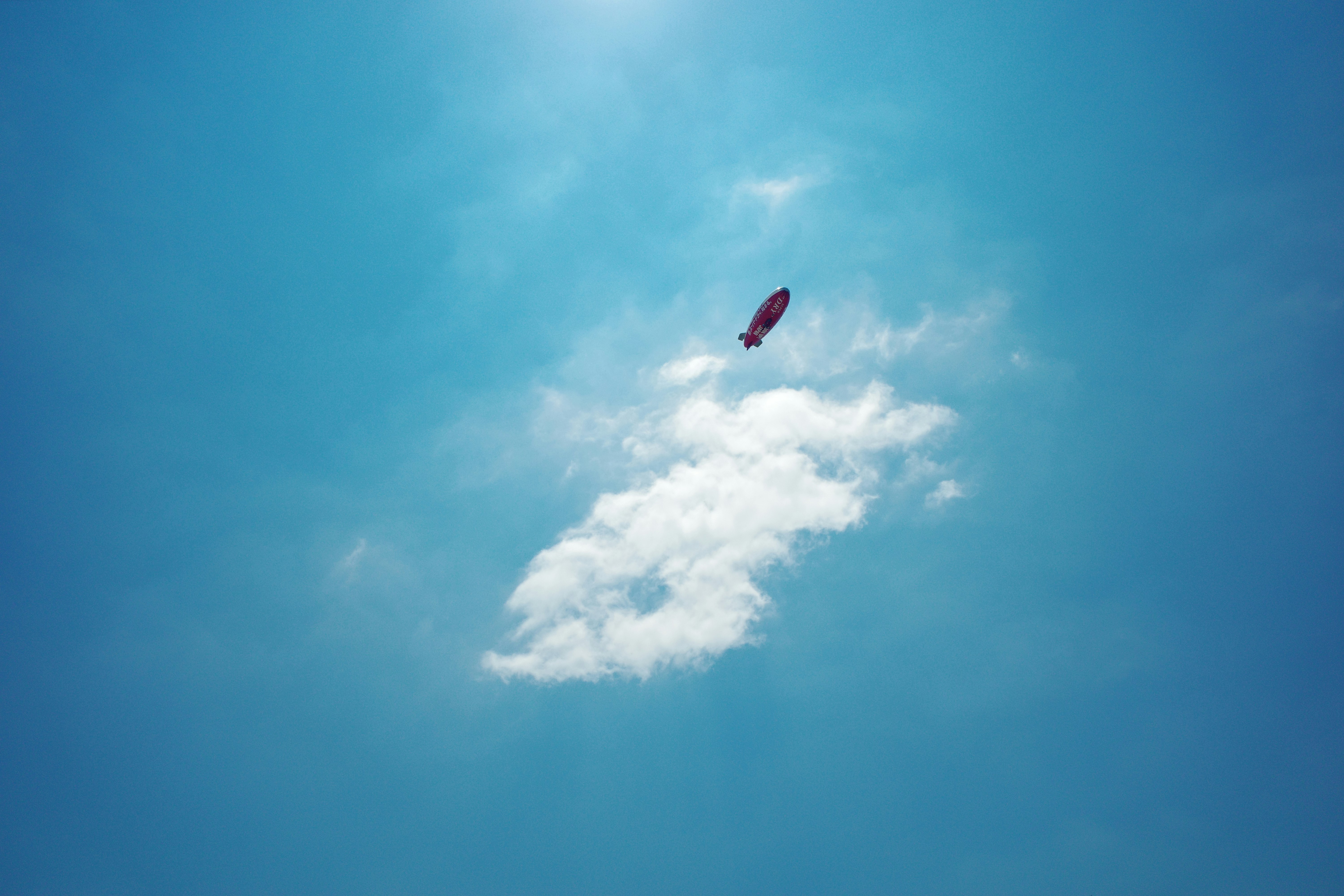 Foto Un pájaro volando alto en el cielo – Imagen Tokio gratis en Unsplash