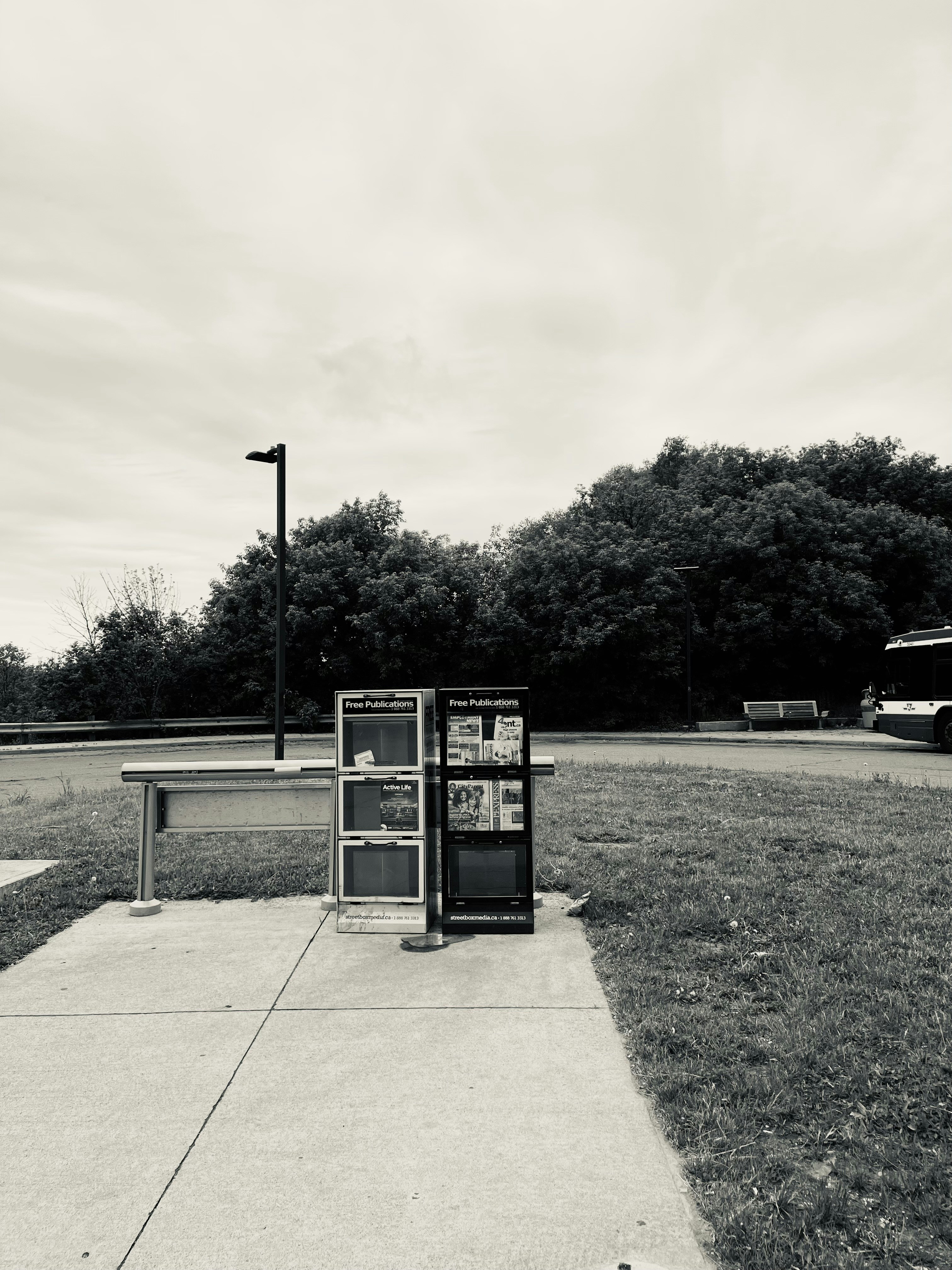 Twin Newspaper Kiosks at the Park's Quiet Edge