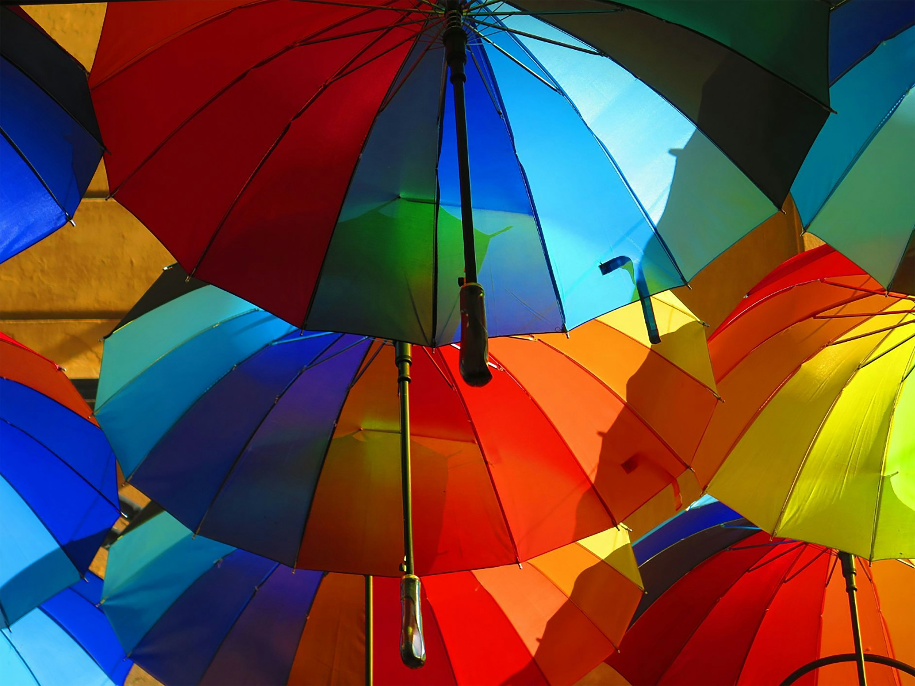 A group of multicolored umbrellas hanging from a ceiling photo – Free ...
