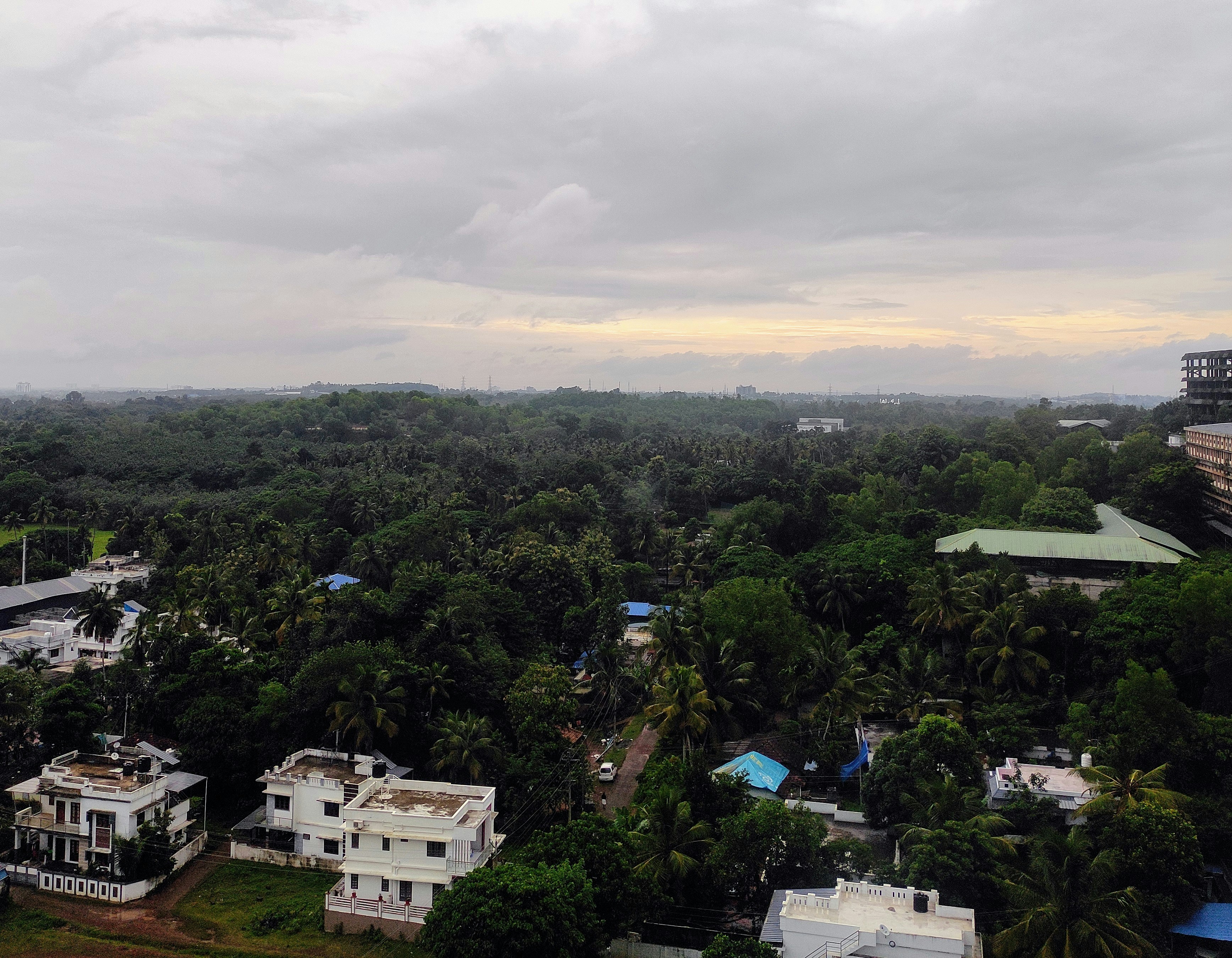 Lush greenery envelops a tranquil landscape under a moody sky, showcasing a blend of residential structures and dense foliage.