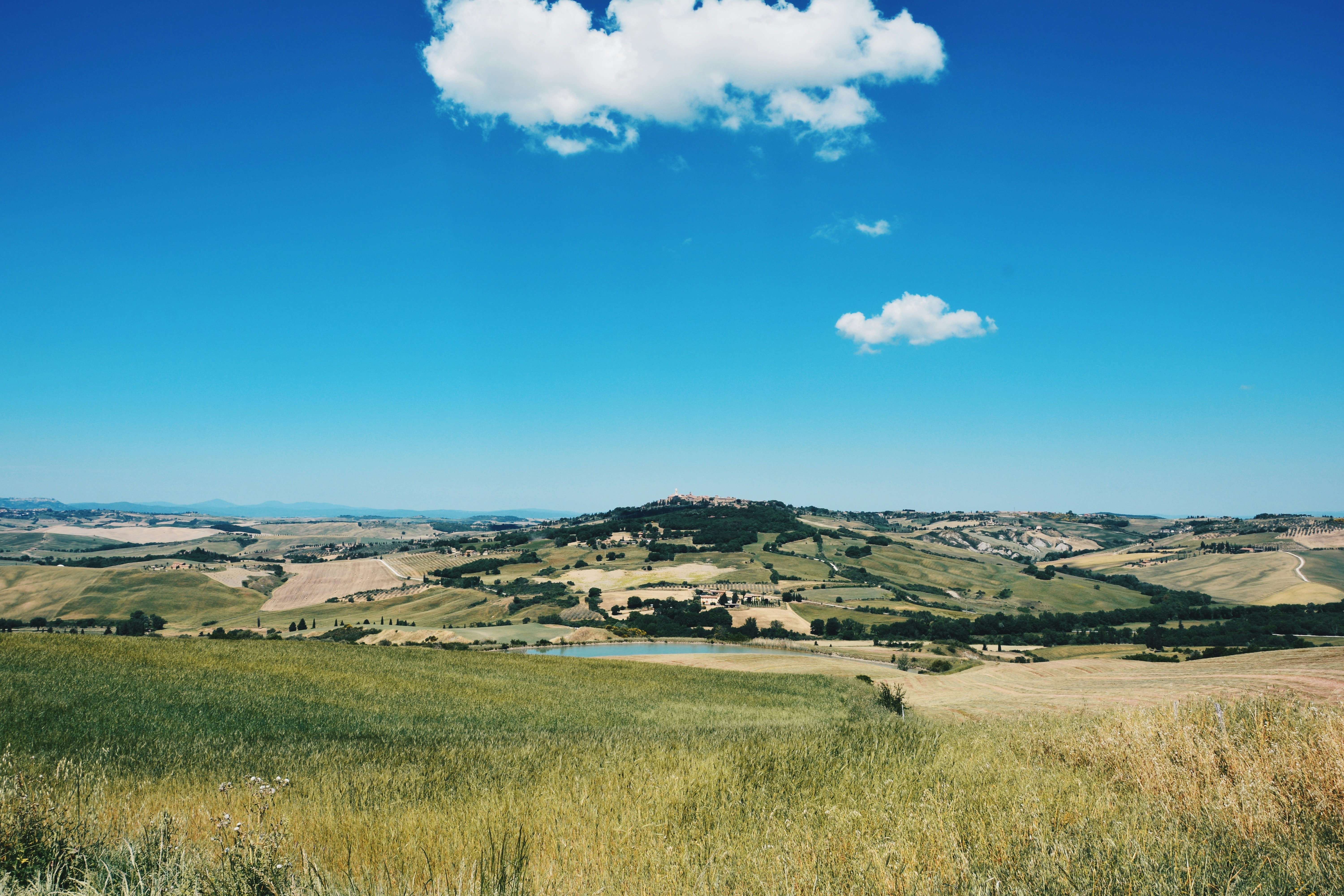 Foto Padang rumput dengan langit biru di latar belakang – Gambar Tanah ...