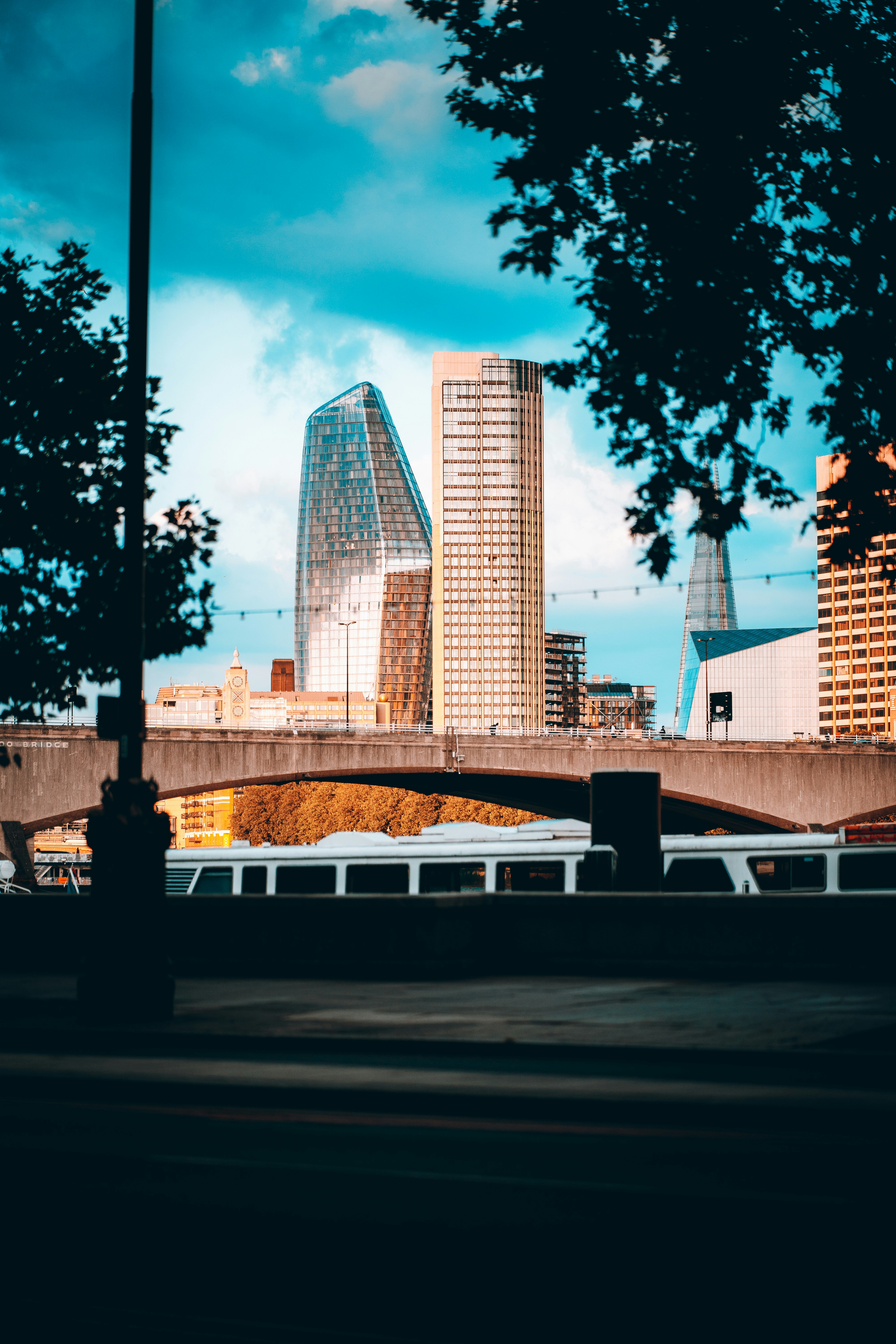 City Skyline Rising Over the Quiet Riverfront