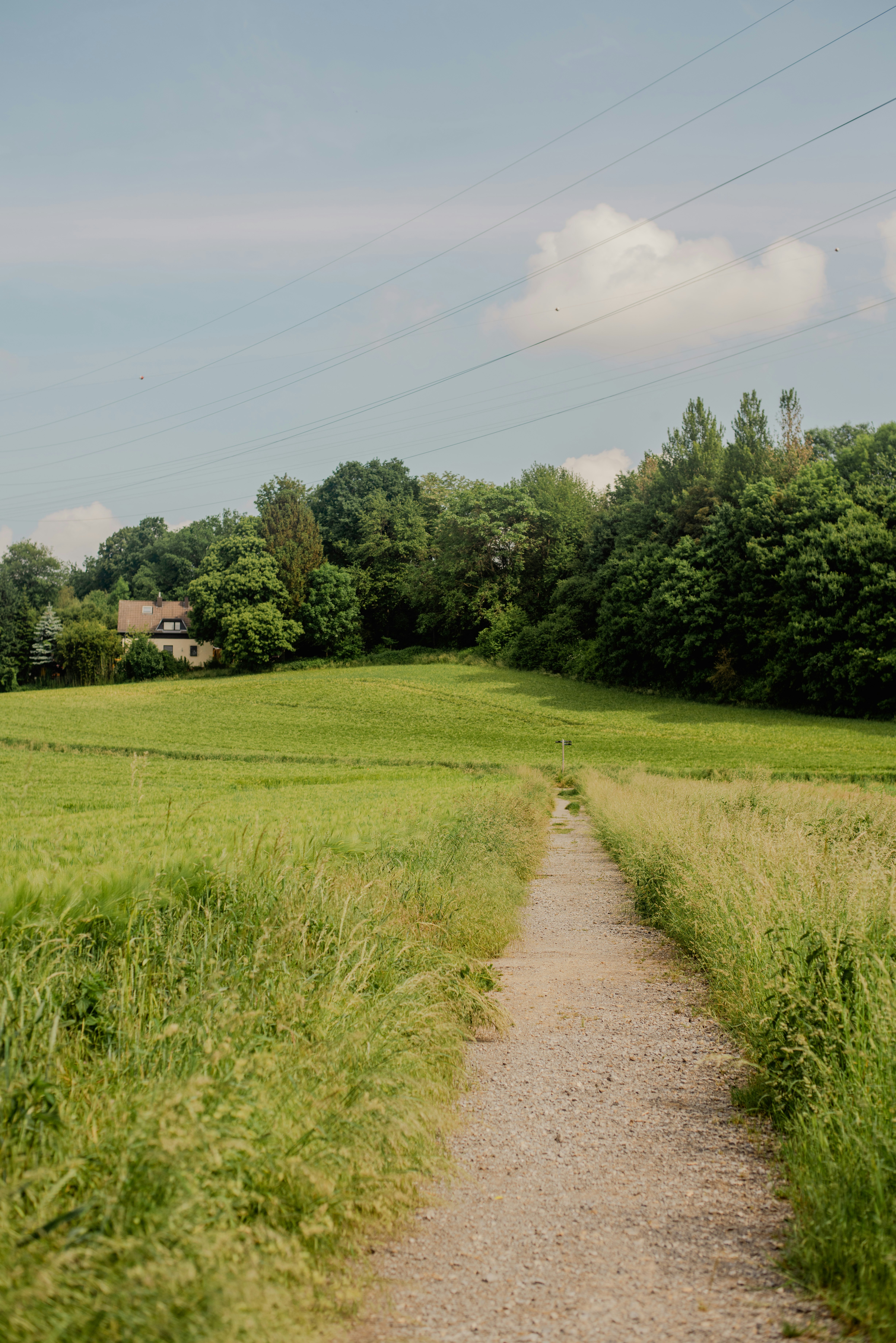 A dirt path in the middle of a grassy field photo – Free Erkrath Image ...