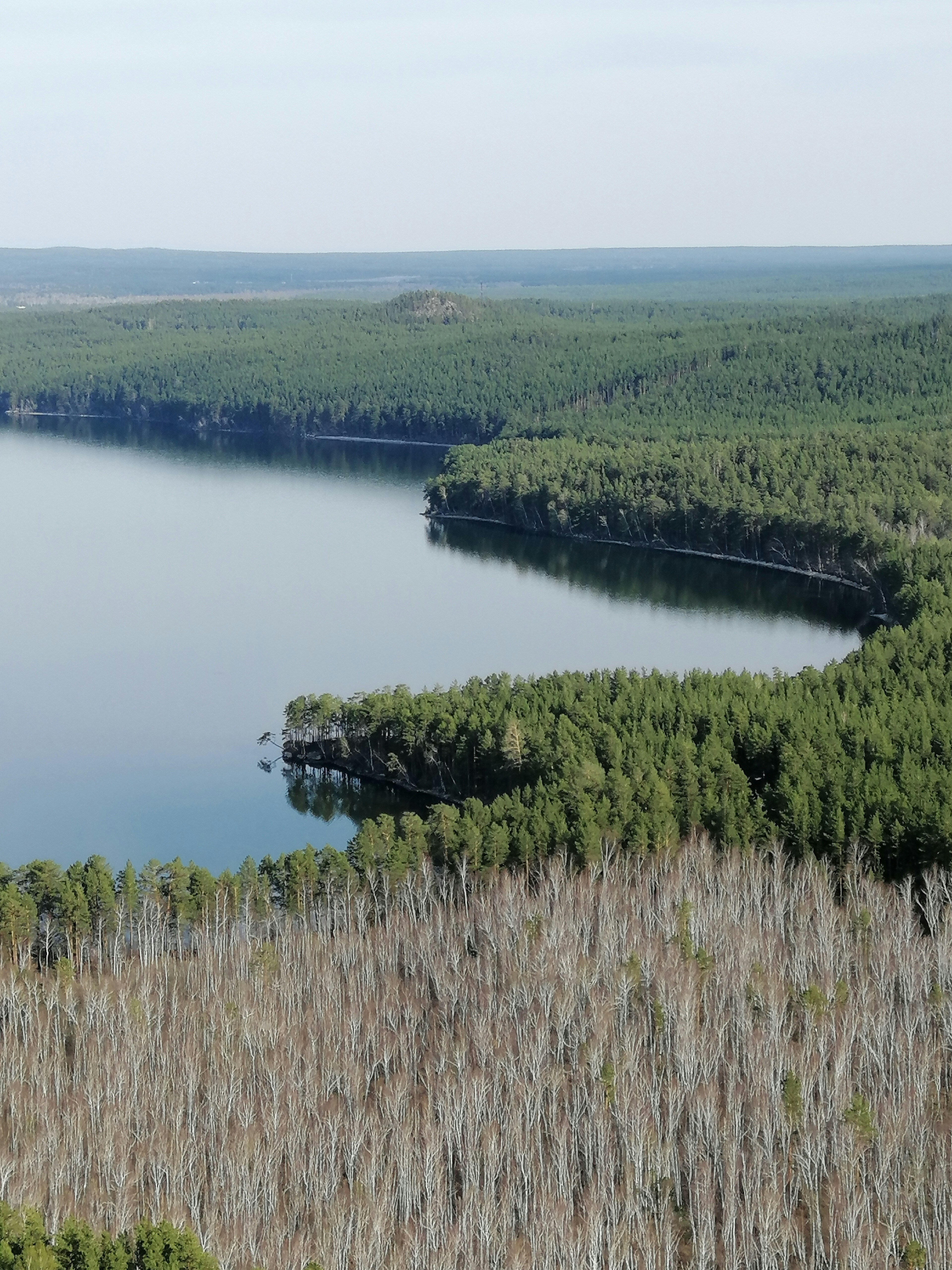 A tranquil lake bordered by lush green forests and skeletal trees, reflecting the calm sky above. The landscape showcases a harmonious blend of nature's elements.