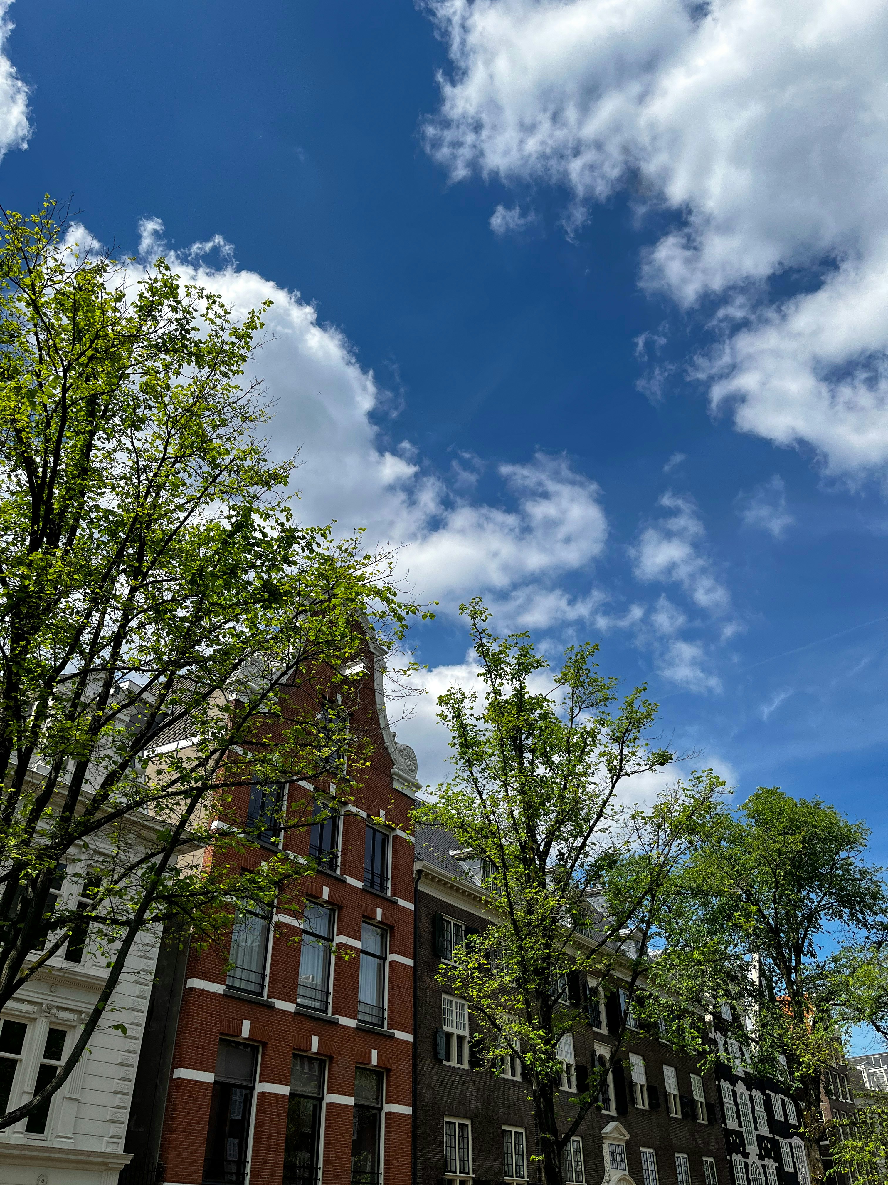 Sunbathing buildings of Amsterdam