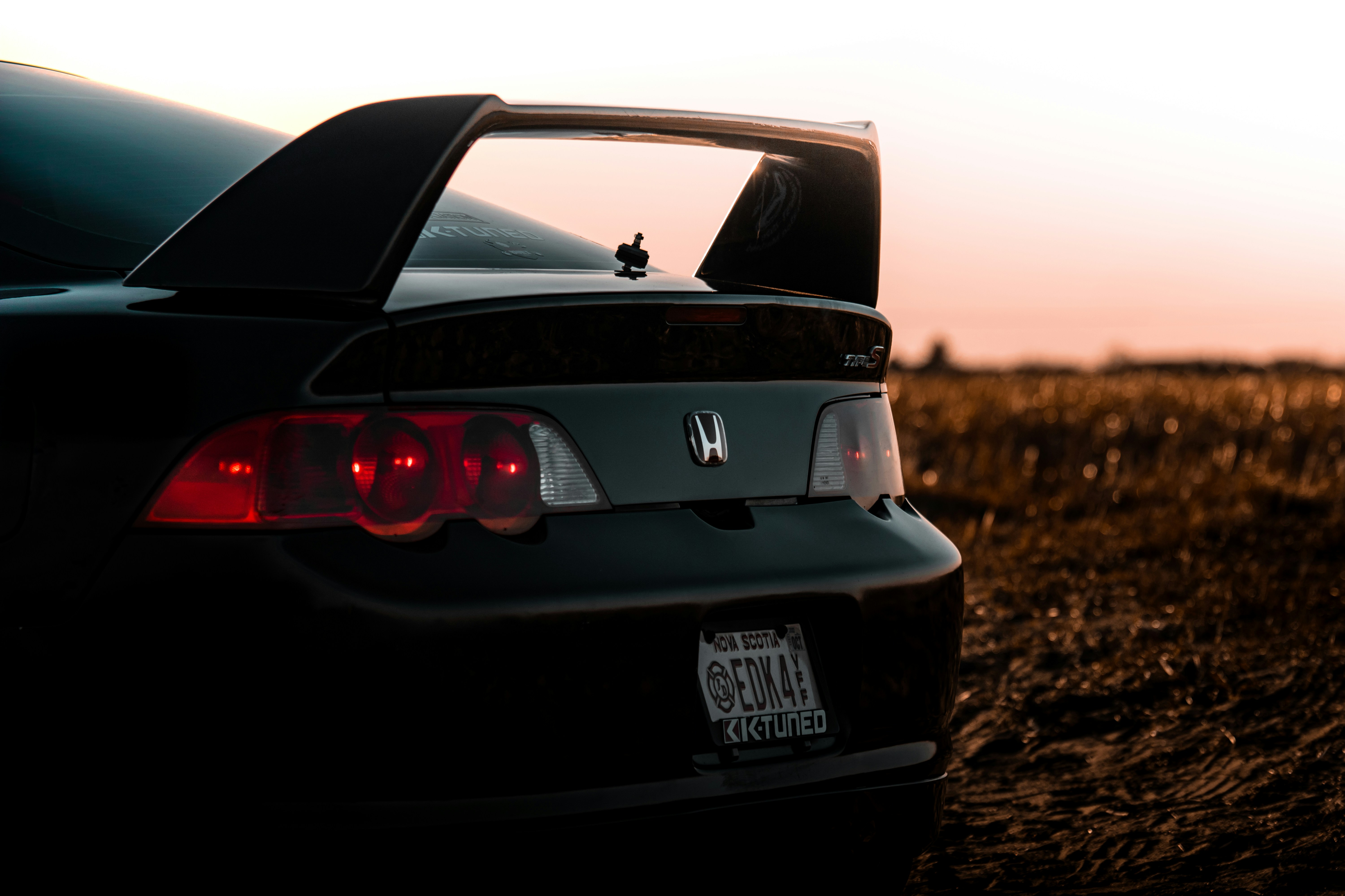 The back end of a car parked in a field photo – Free Car Image on Unsplash