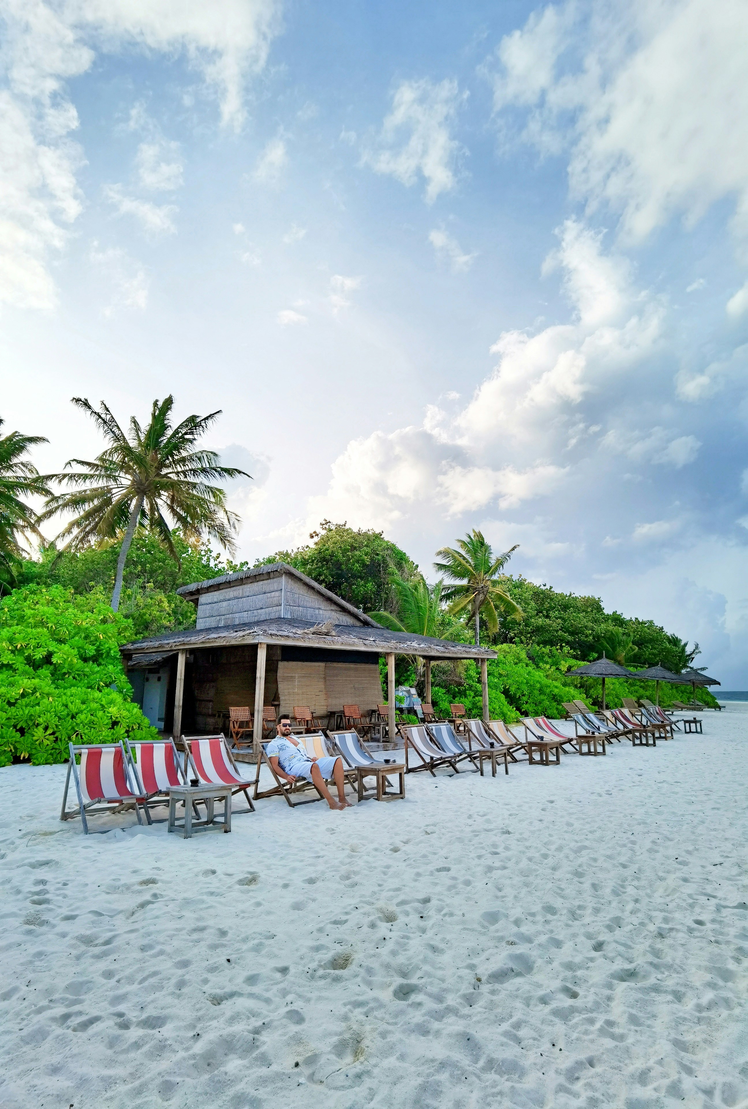 Beach loungers lined up under palm trees near a rustic beach hut, inviting relaxation in a tropical setting.