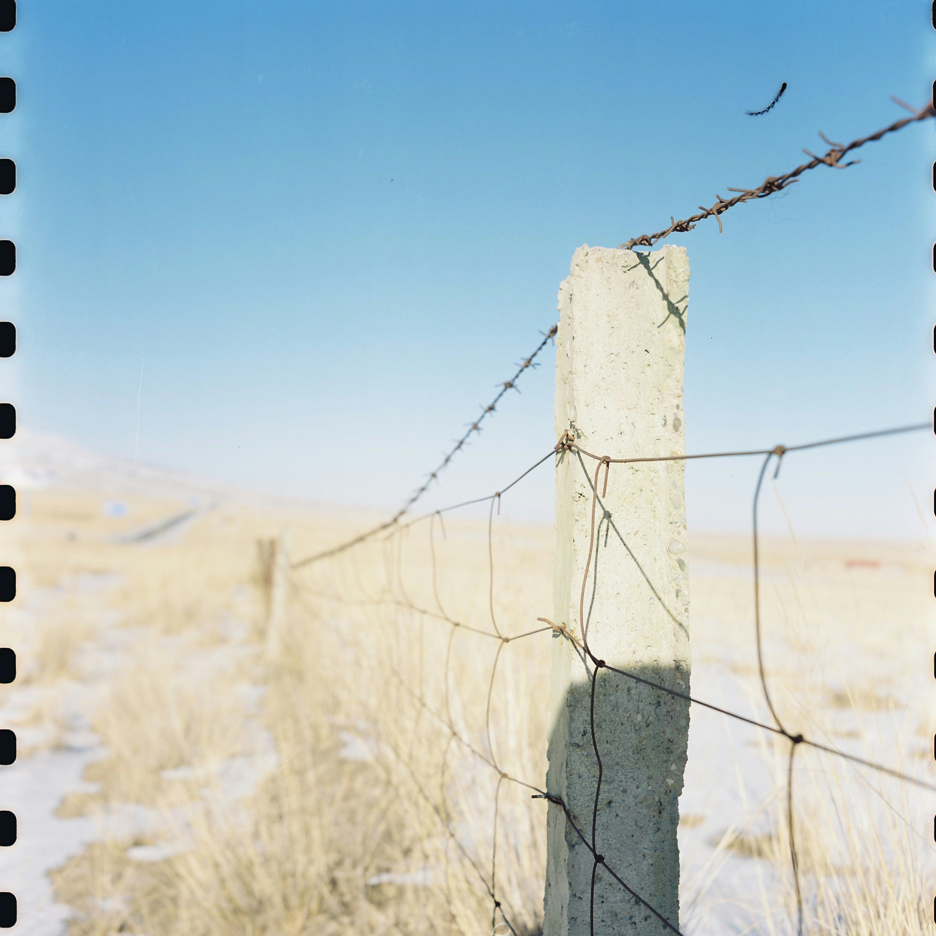 Barbed Silence: A Desert Fence Reaching Toward the Horizon