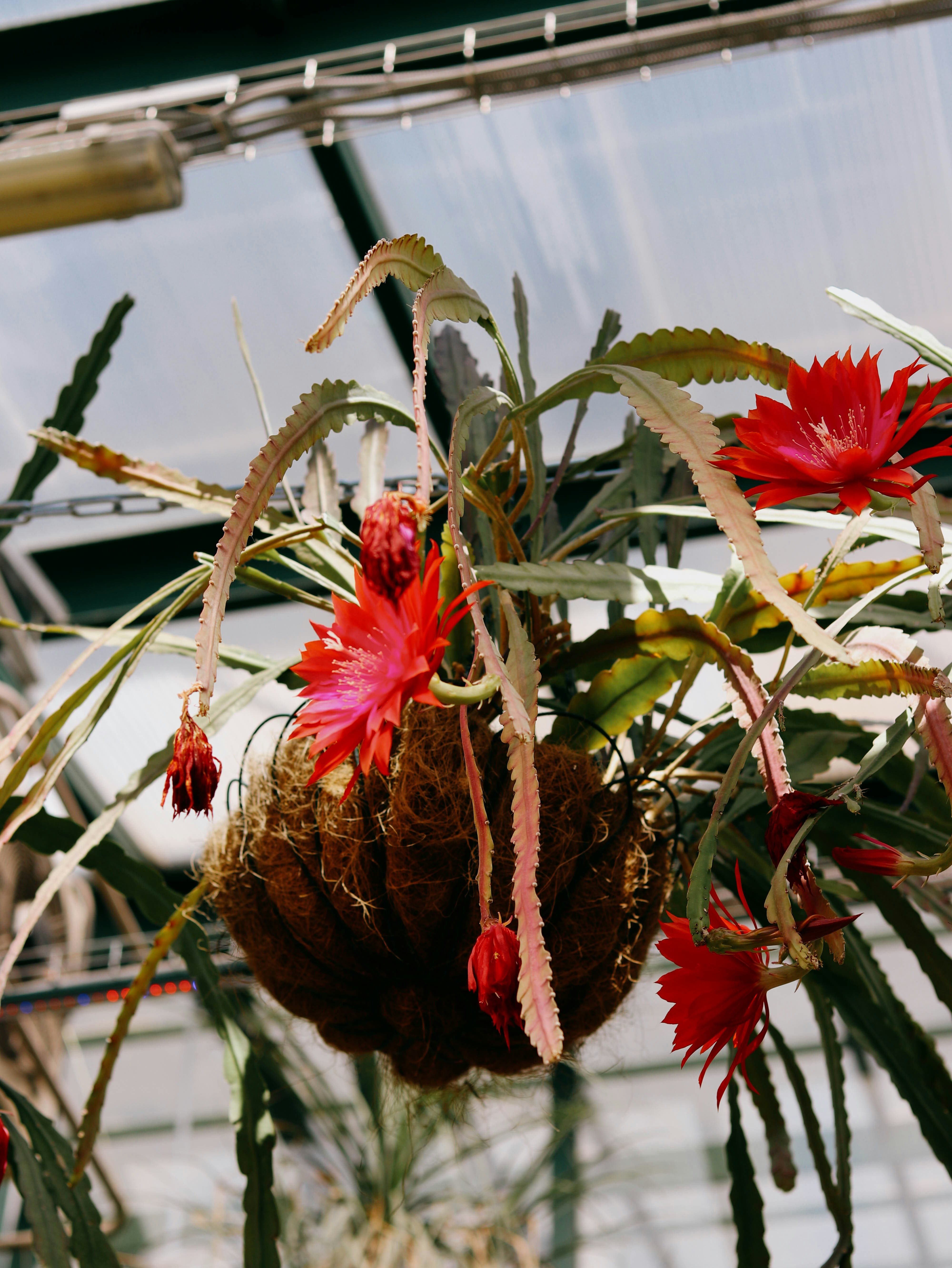 Photo by Valeria Nikitina with Canon EOS 77D