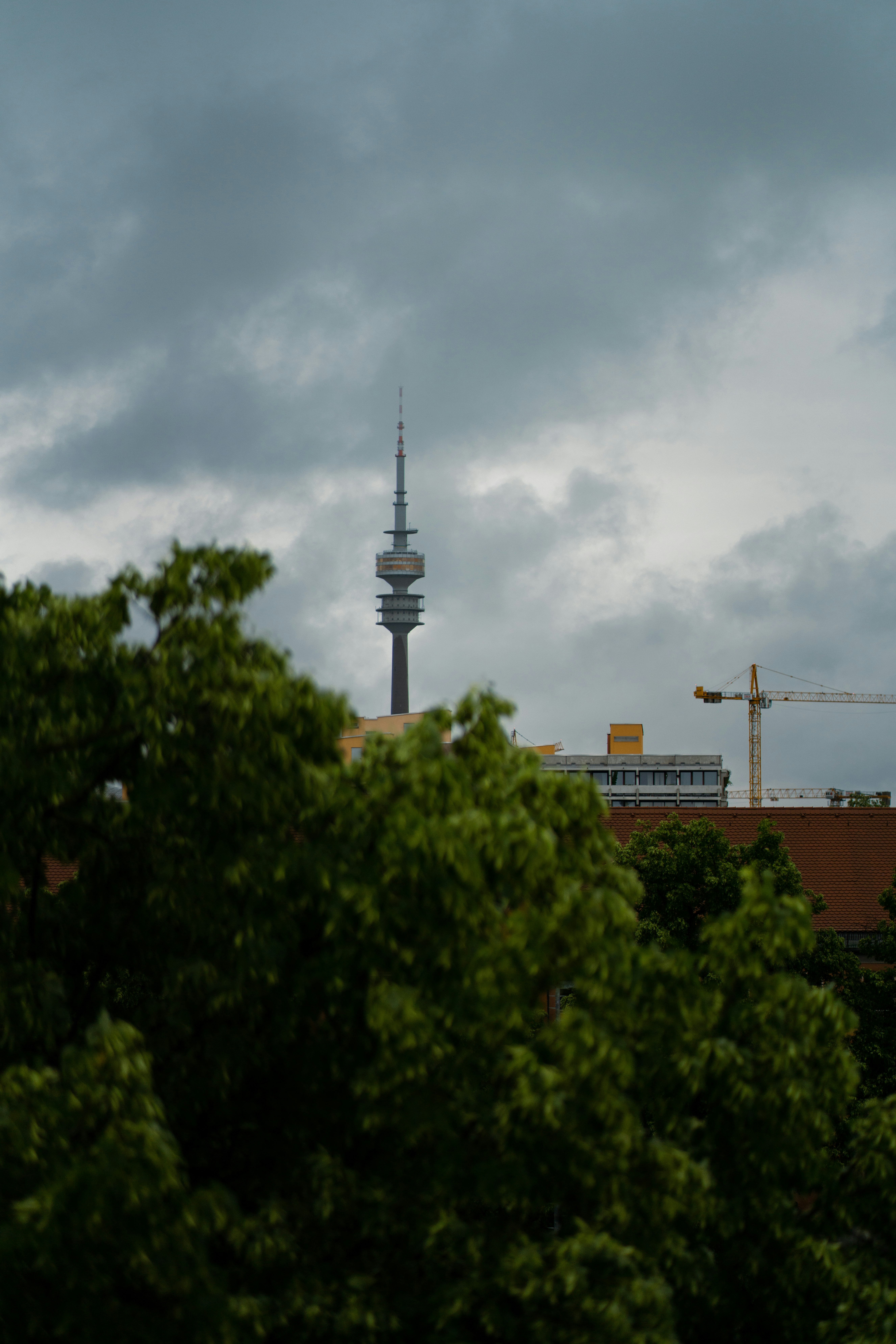 Television tower rises above city rooftops under a cloudy sky, framed by lush tree foliage. 