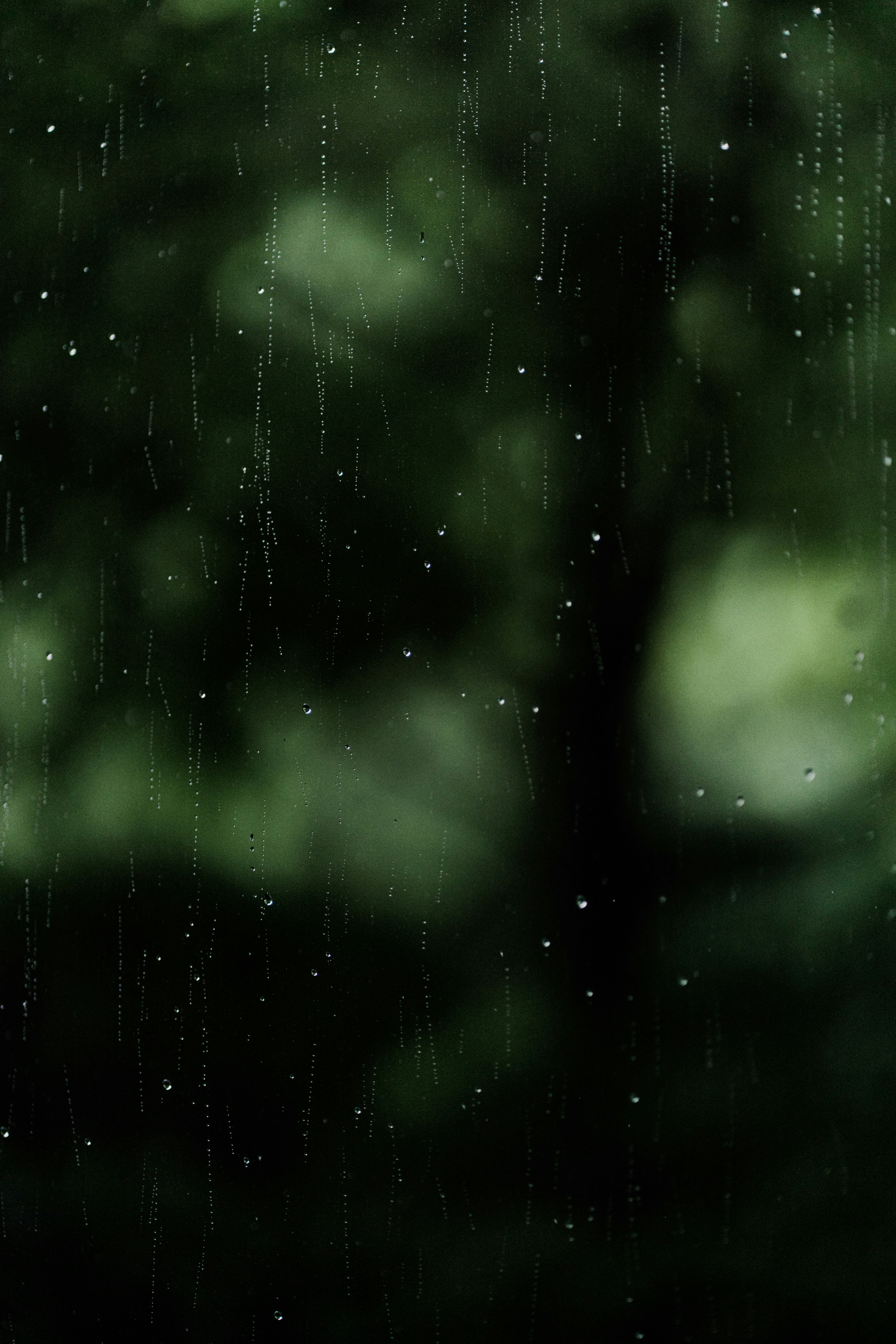 Raindrops cascade down a blurred backdrop of lush greenery, creating a serene atmosphere. The image captures the essence of a tranquil rainy day.