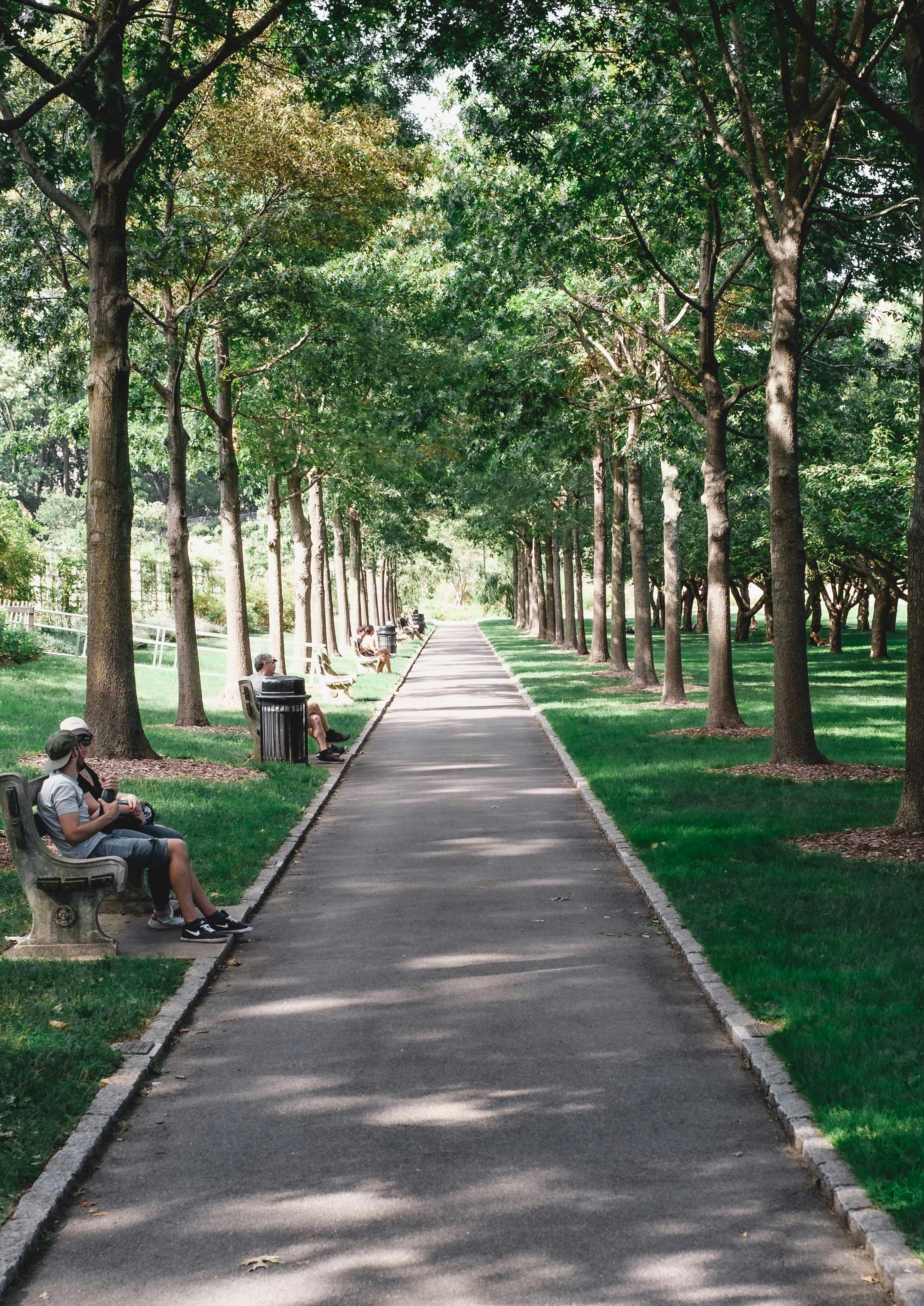 Photo by Evan Brorby with Fujifilm X-T4