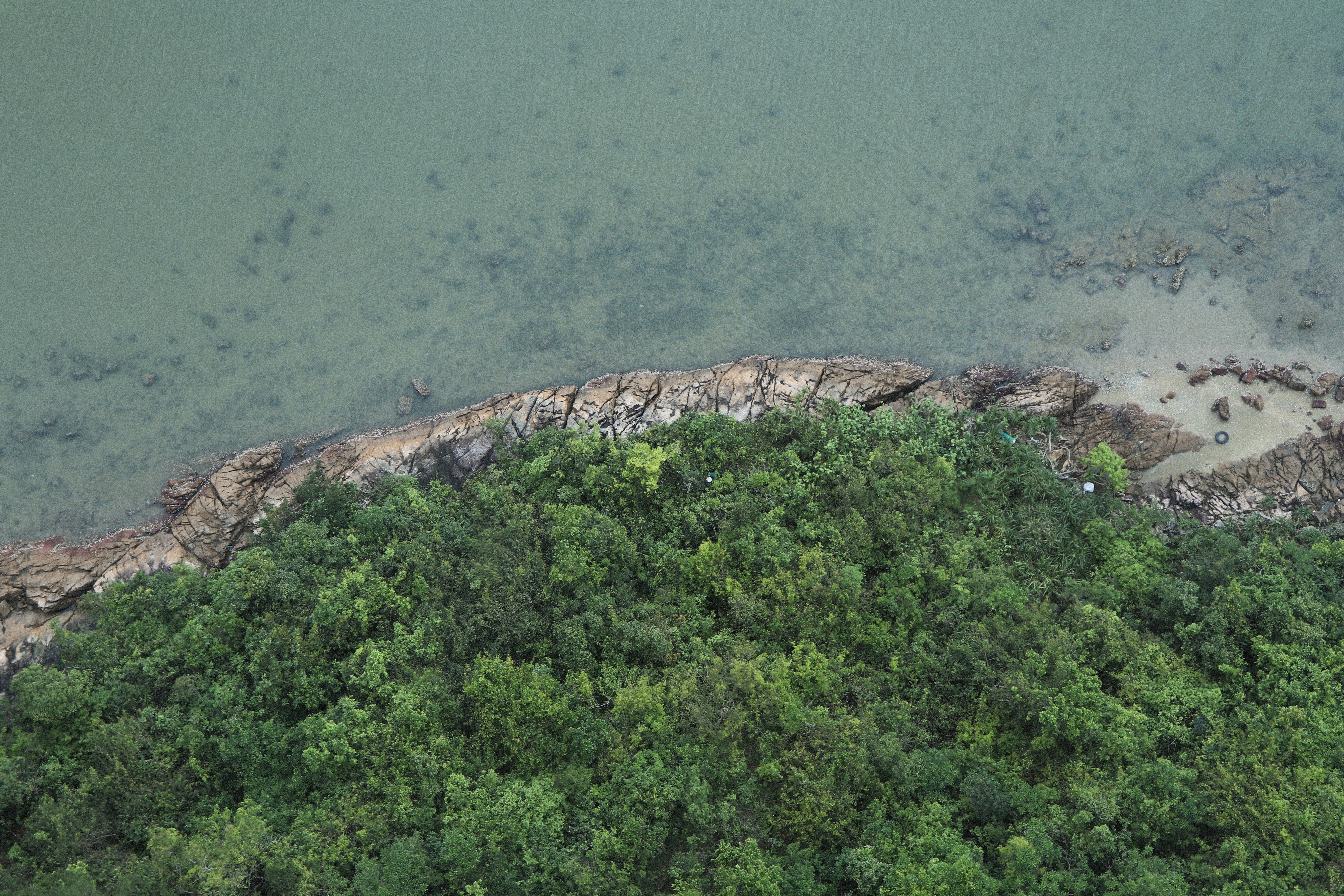 an aerial view of a body of water surrounded by trees